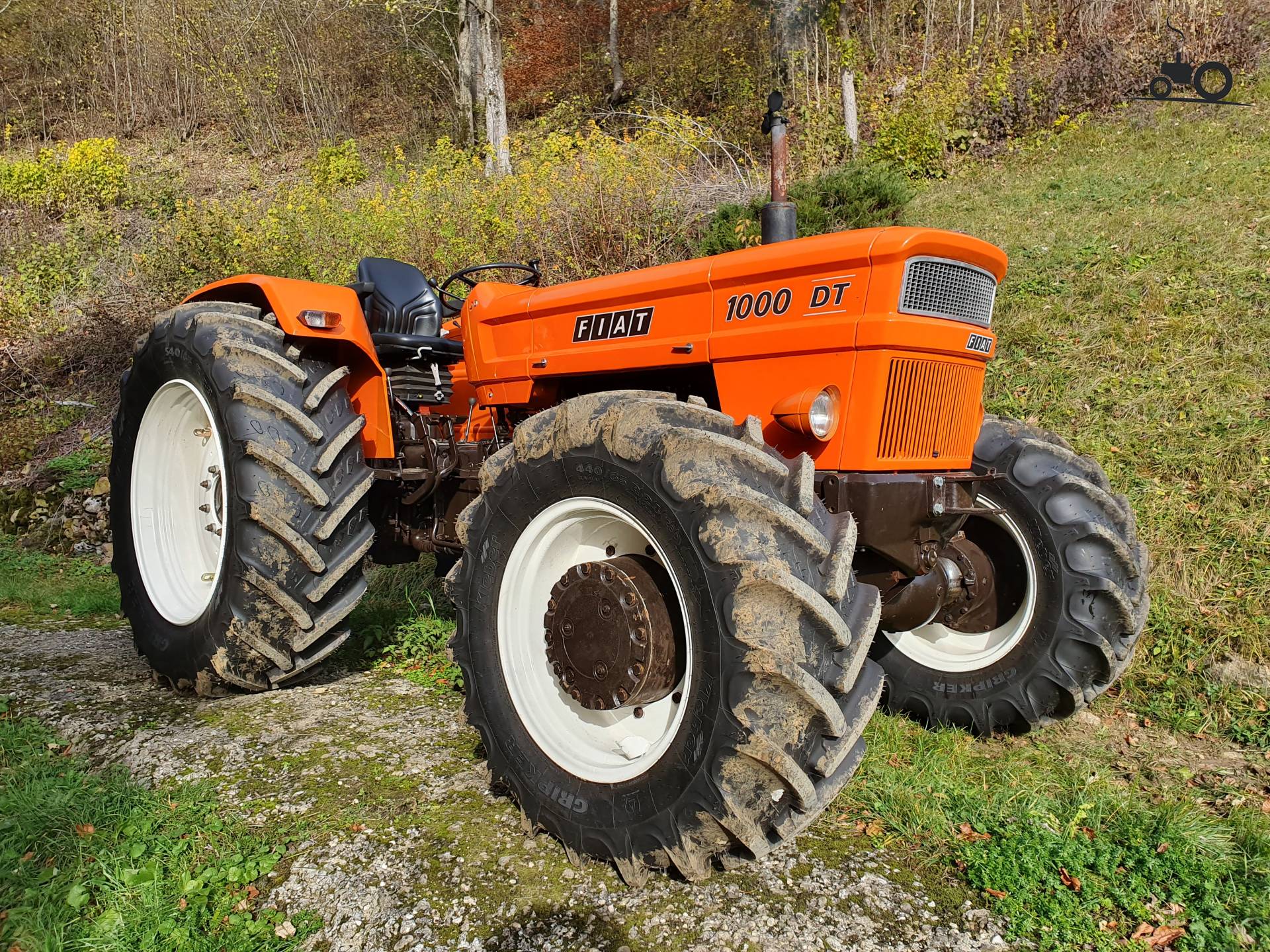 Fiat 1000DT - Italia - Trattore immagine #1323233