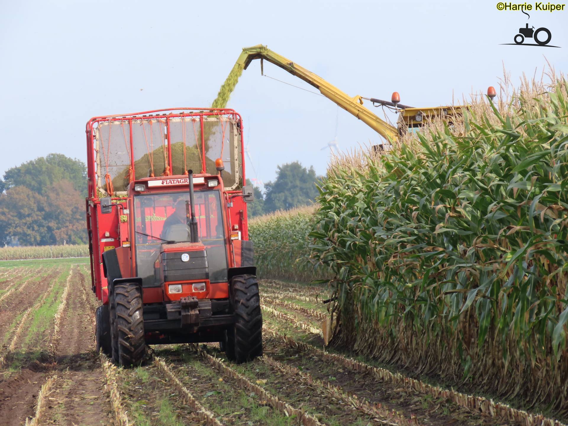 Foto Fiat F100 #1378873