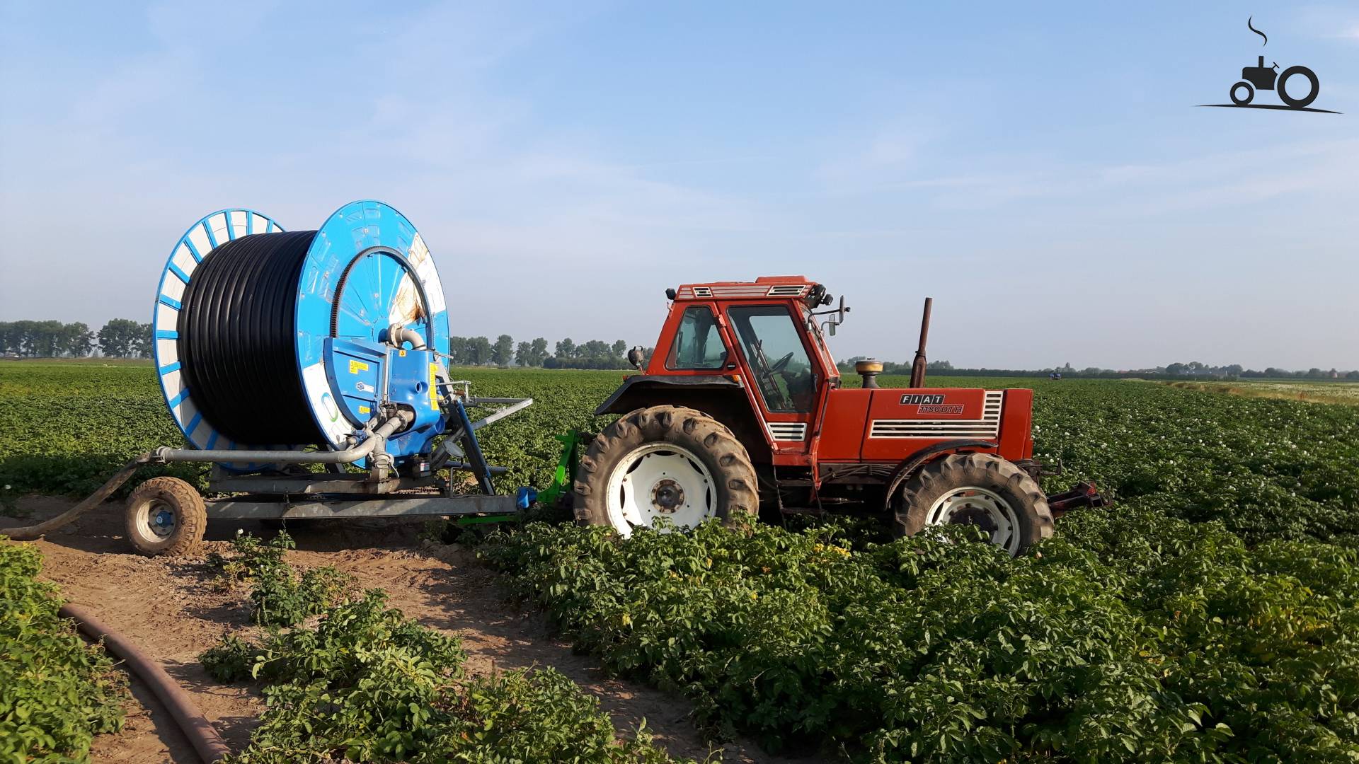 Foto Fiat 1180 #1400999