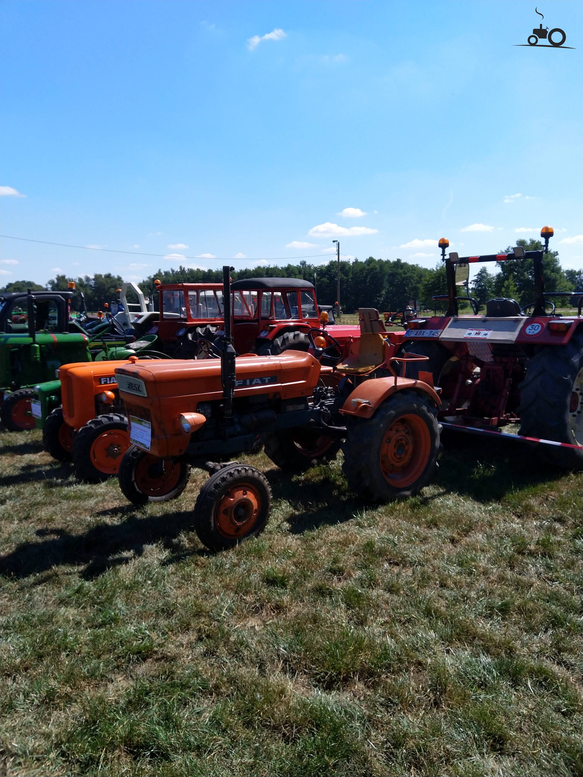 Foto Fiat 250 #1484955