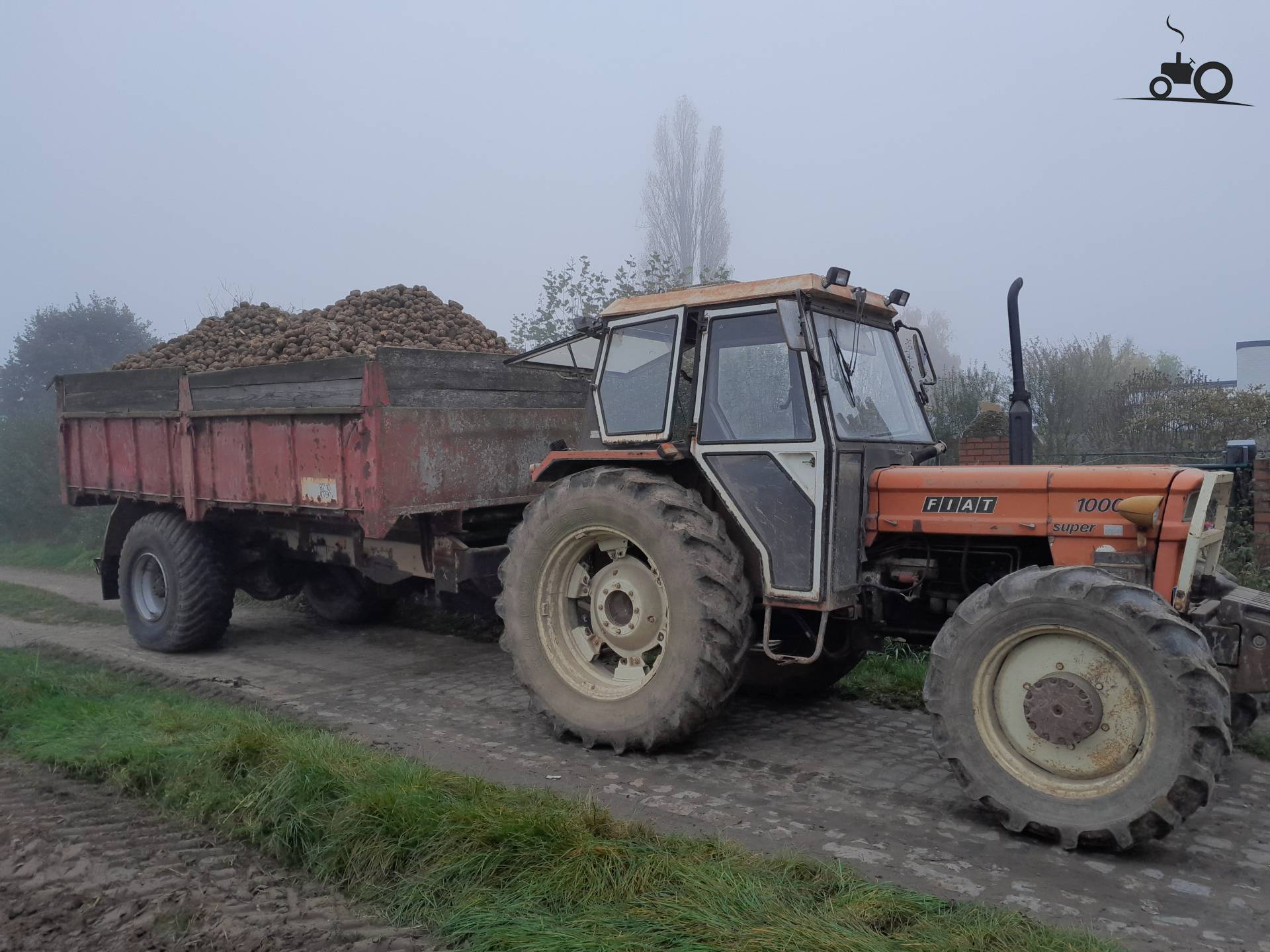 Foto Fiat 1000 Super #1594810