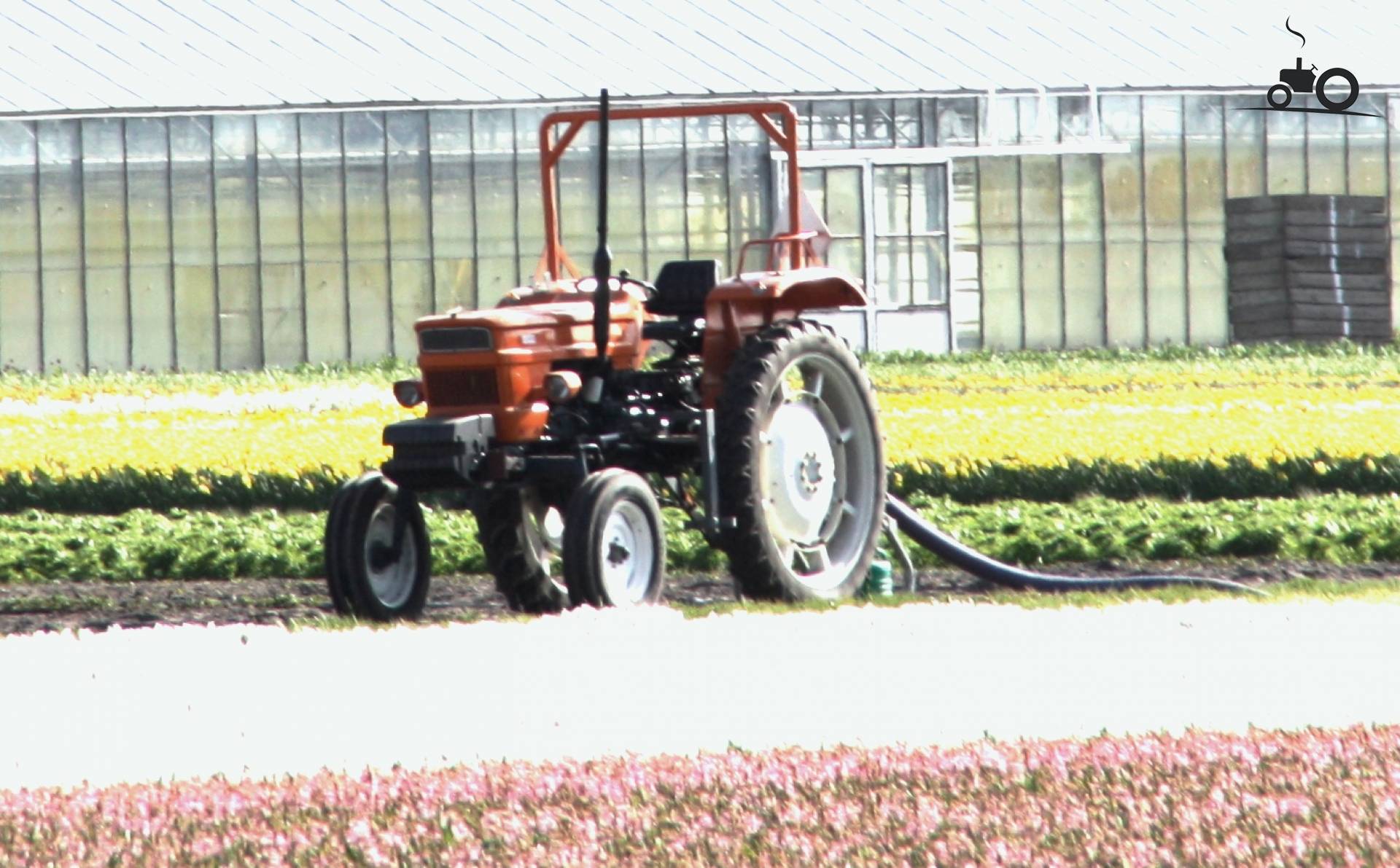 Fiat 550 - Schweiz - Traktor foto #344009