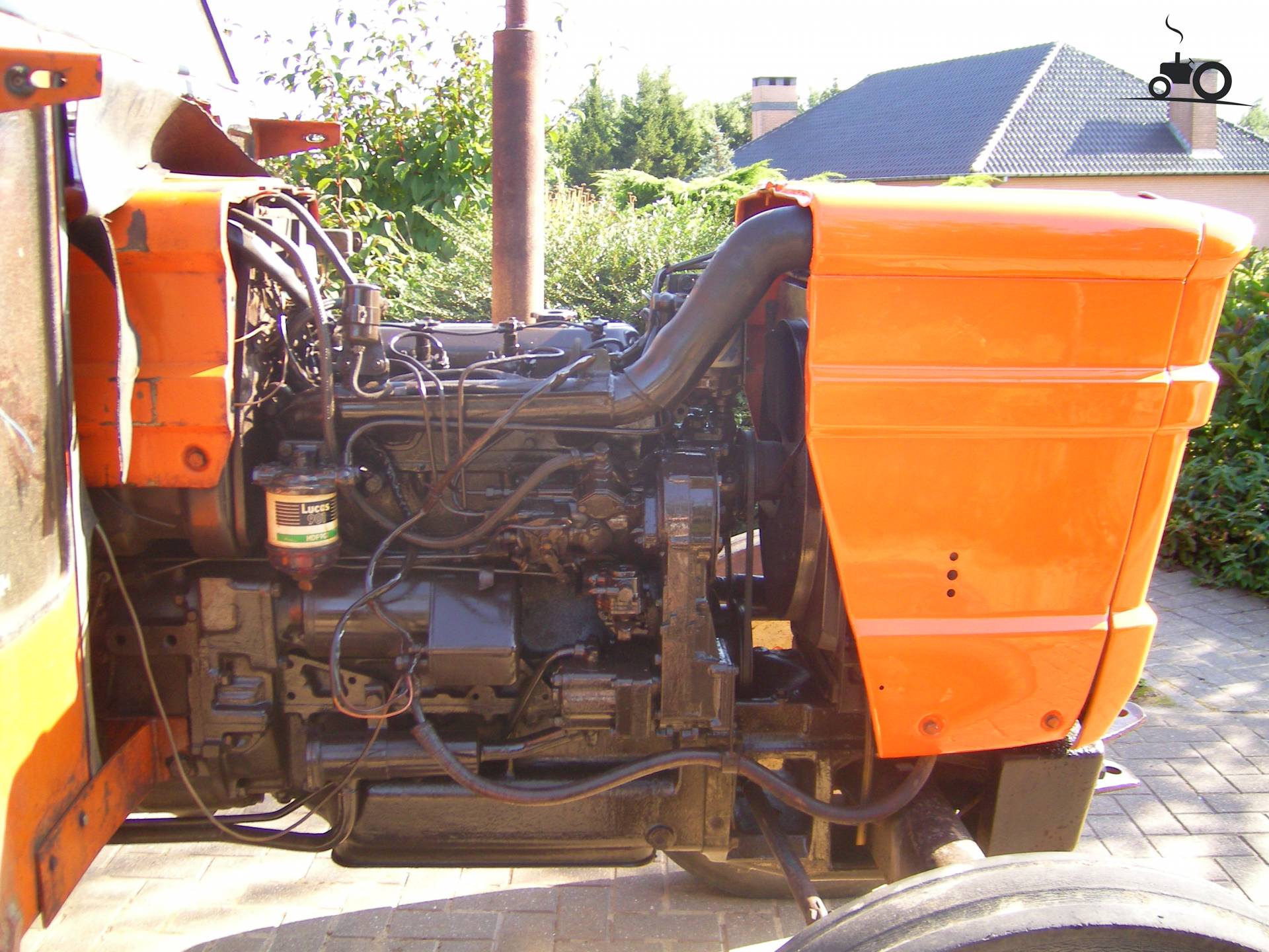 Fiat 550 - Schweiz - Traktor foto #431910