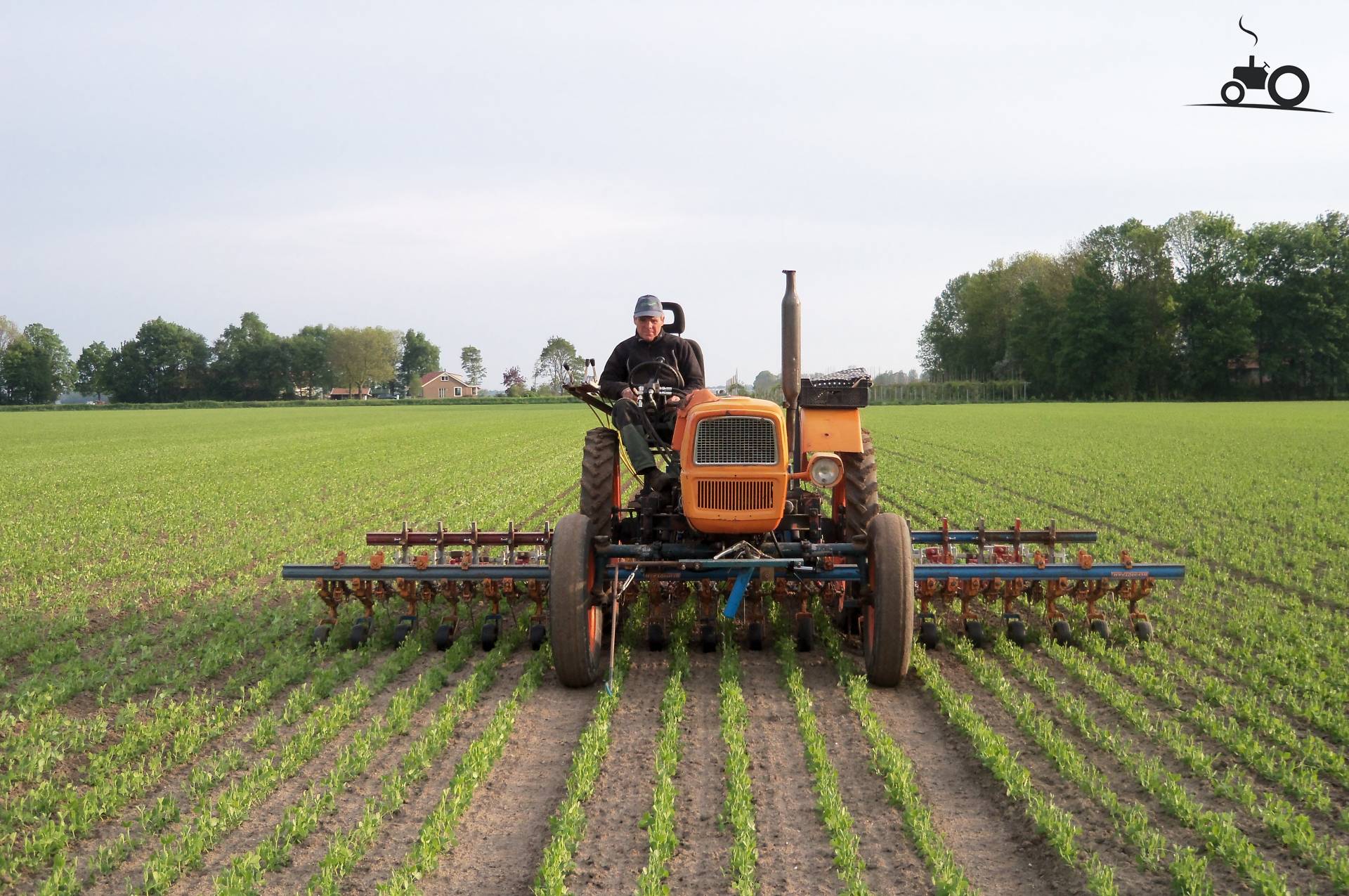 Foto Fiat 215 #640575