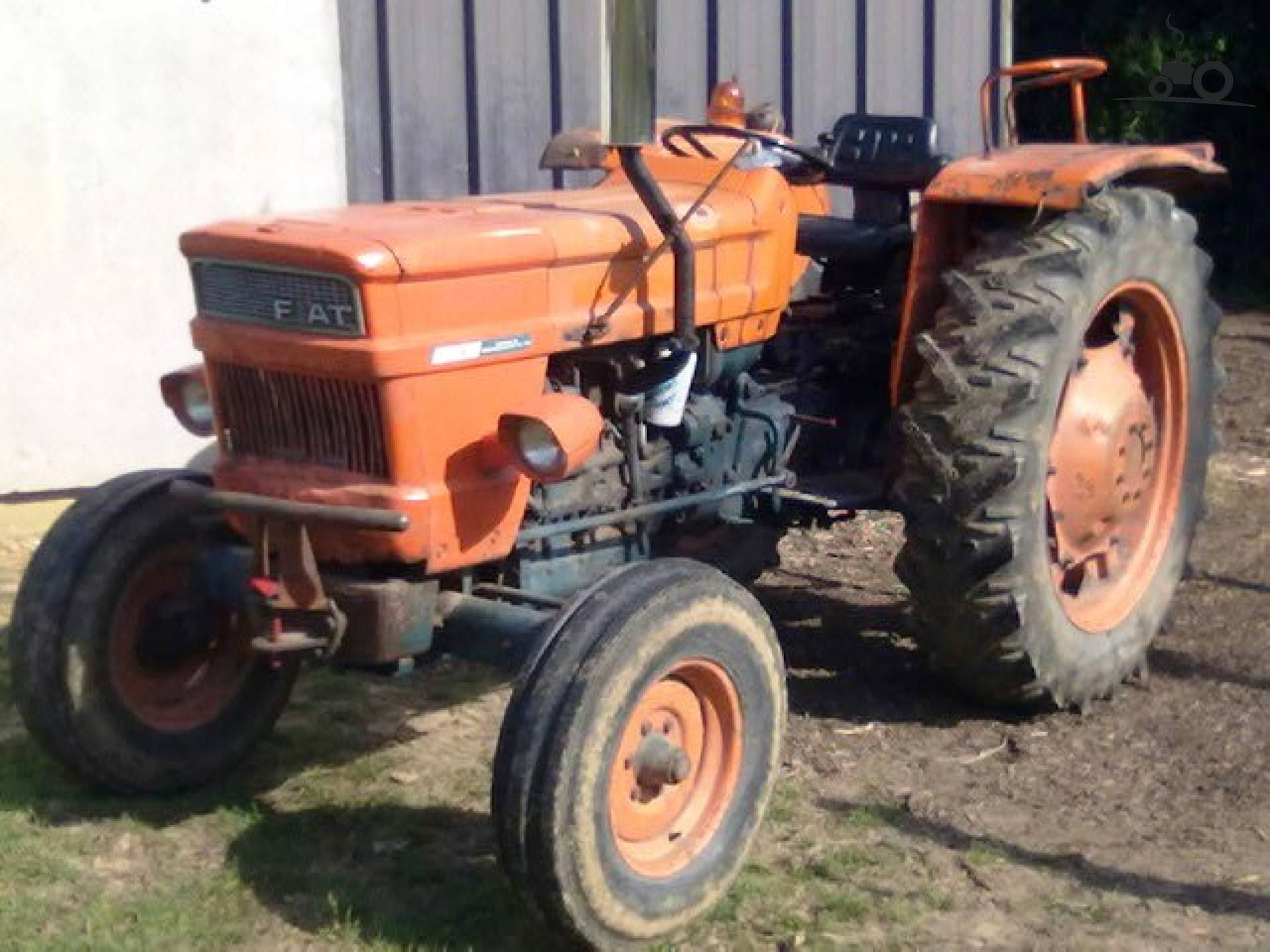 Fiat 550 - Schweiz - Traktor foto #669826