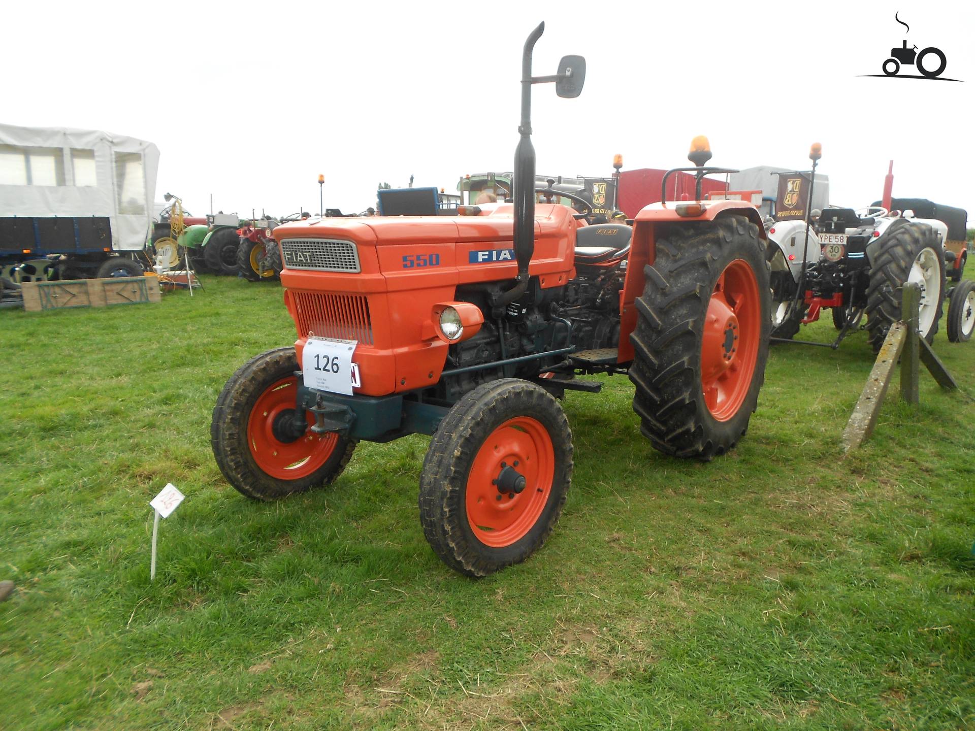 Fiat 550 - Schweiz - Traktor foto #793377