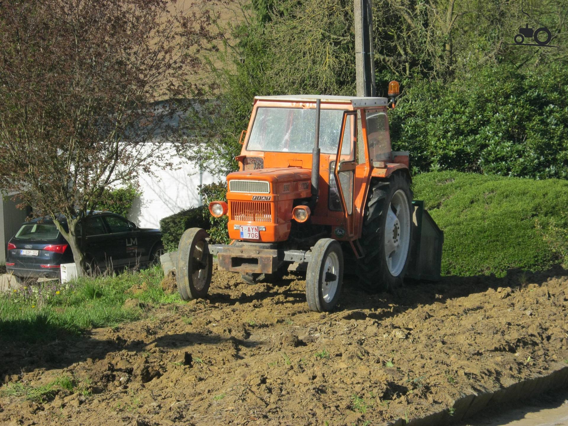 Fiat 550 - Schweiz - Traktor foto #801259