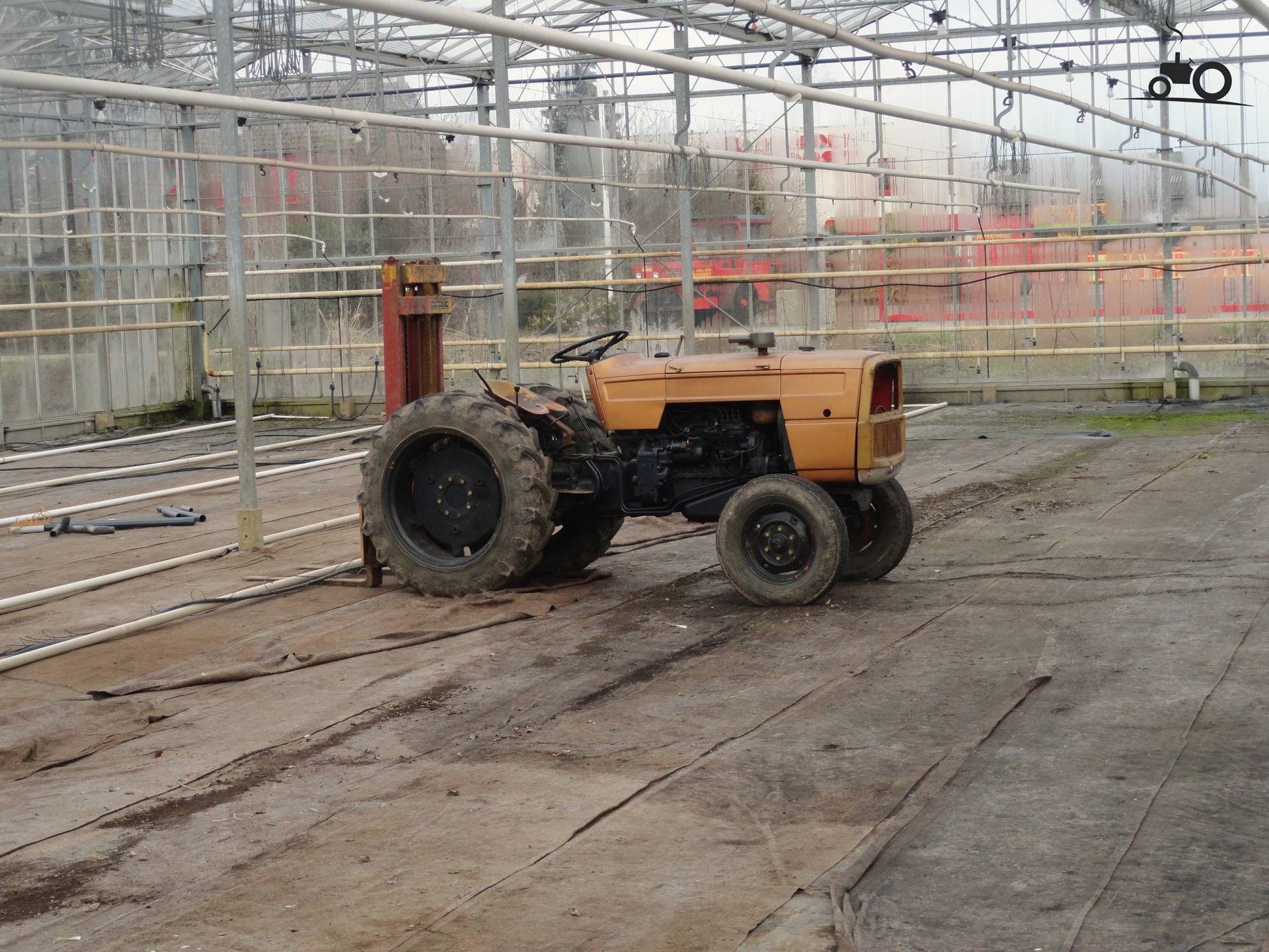 Fiat 415 - Schweiz - Traktor foto #819902