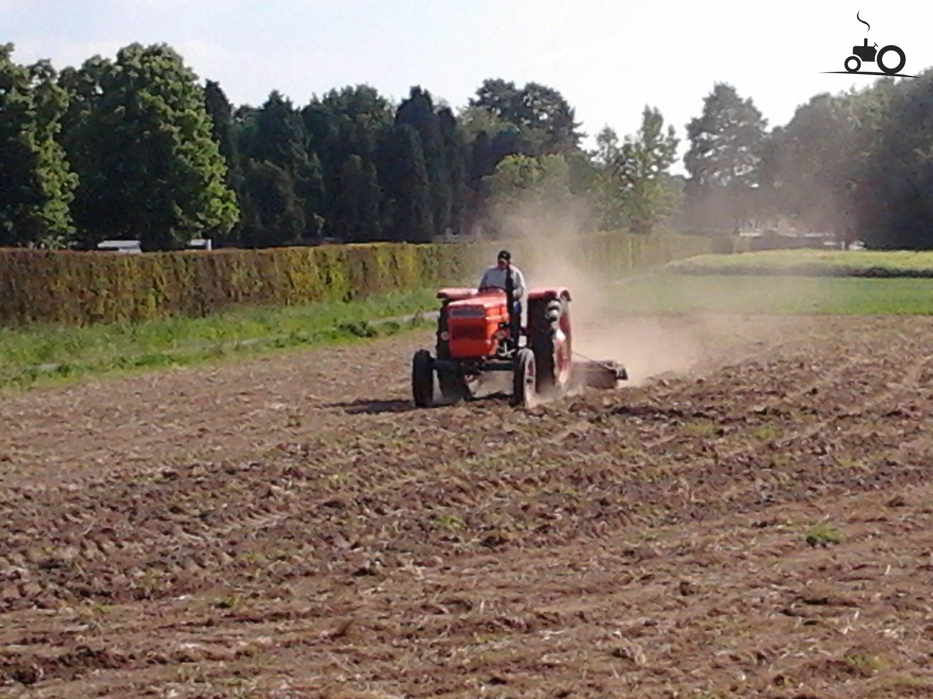 Fiat 550 - Schweiz - Traktor foto #846850