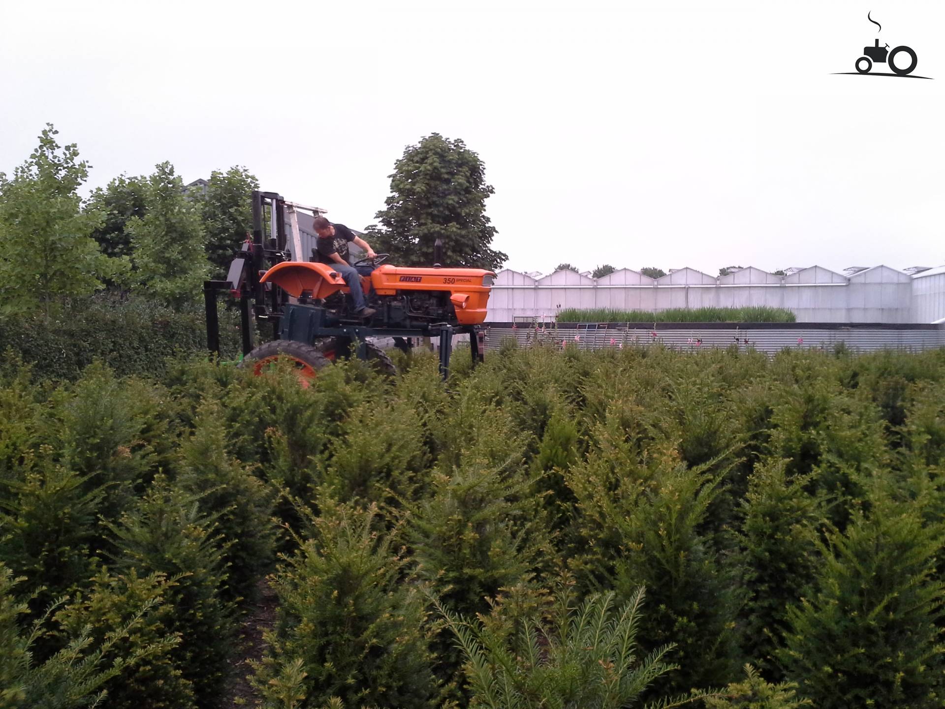 Foto Fiat 350 #857556