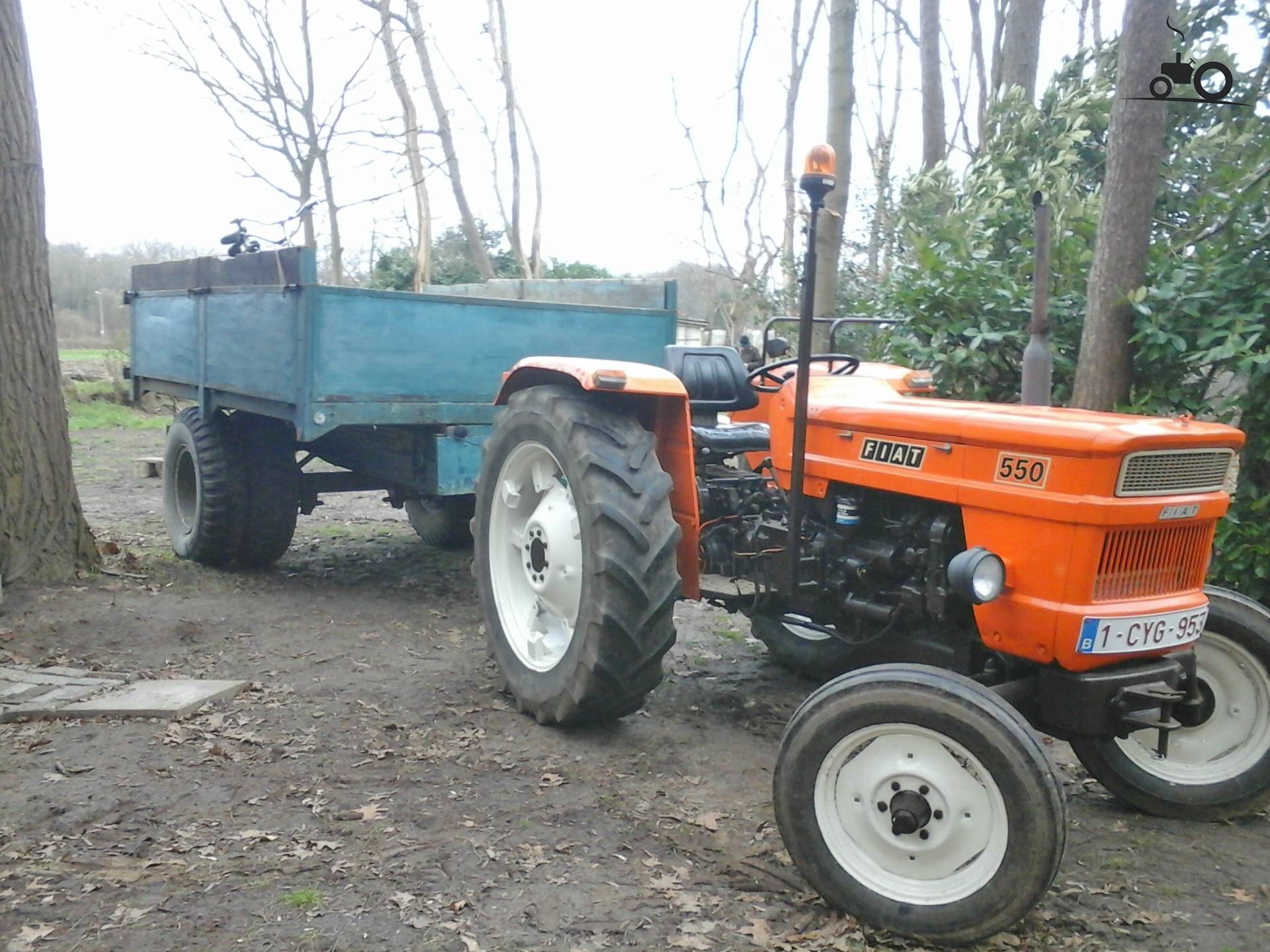 Fiat 550 - Schweiz - Traktor foto #954672
