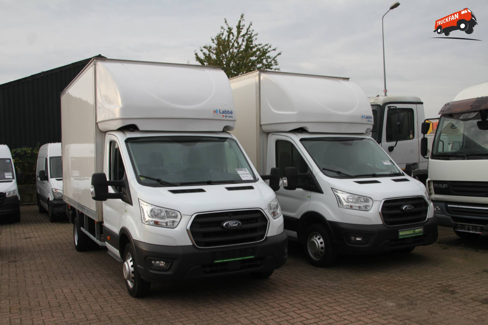 Foto Ford Transit #1494777