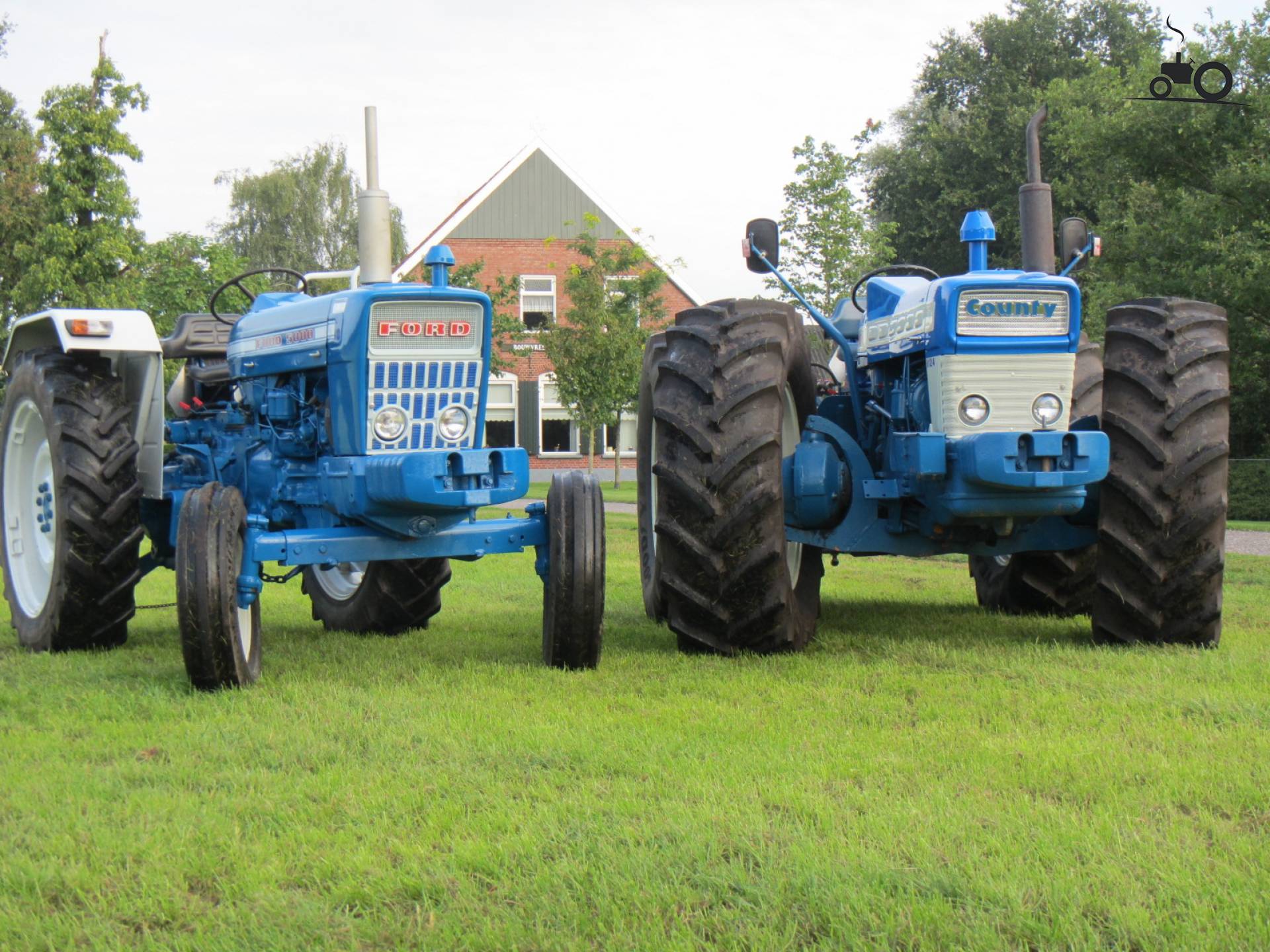 Ford County 1124 - Italia - Trattore immagine #933683