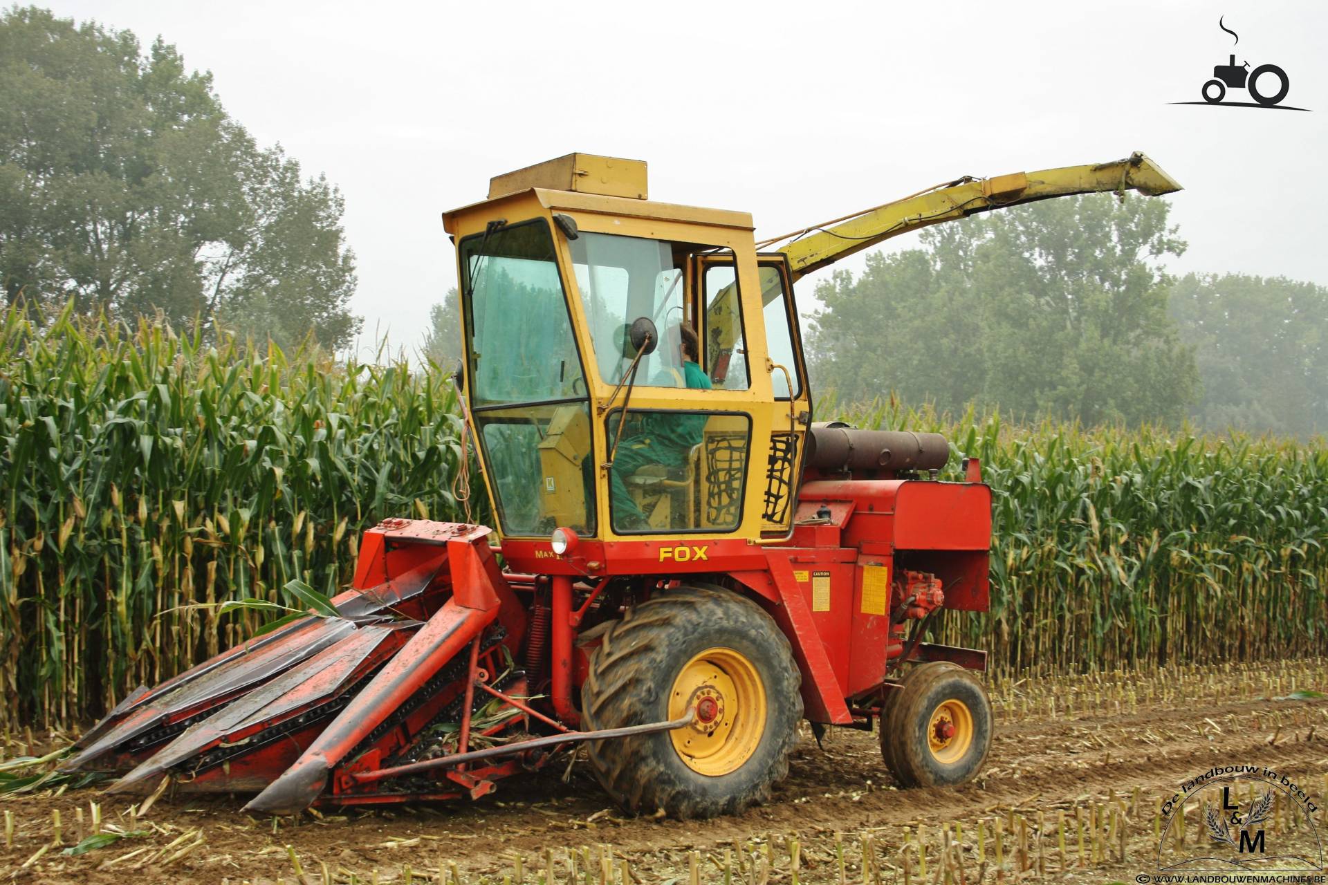 Max Verstappen Silverstone 2025