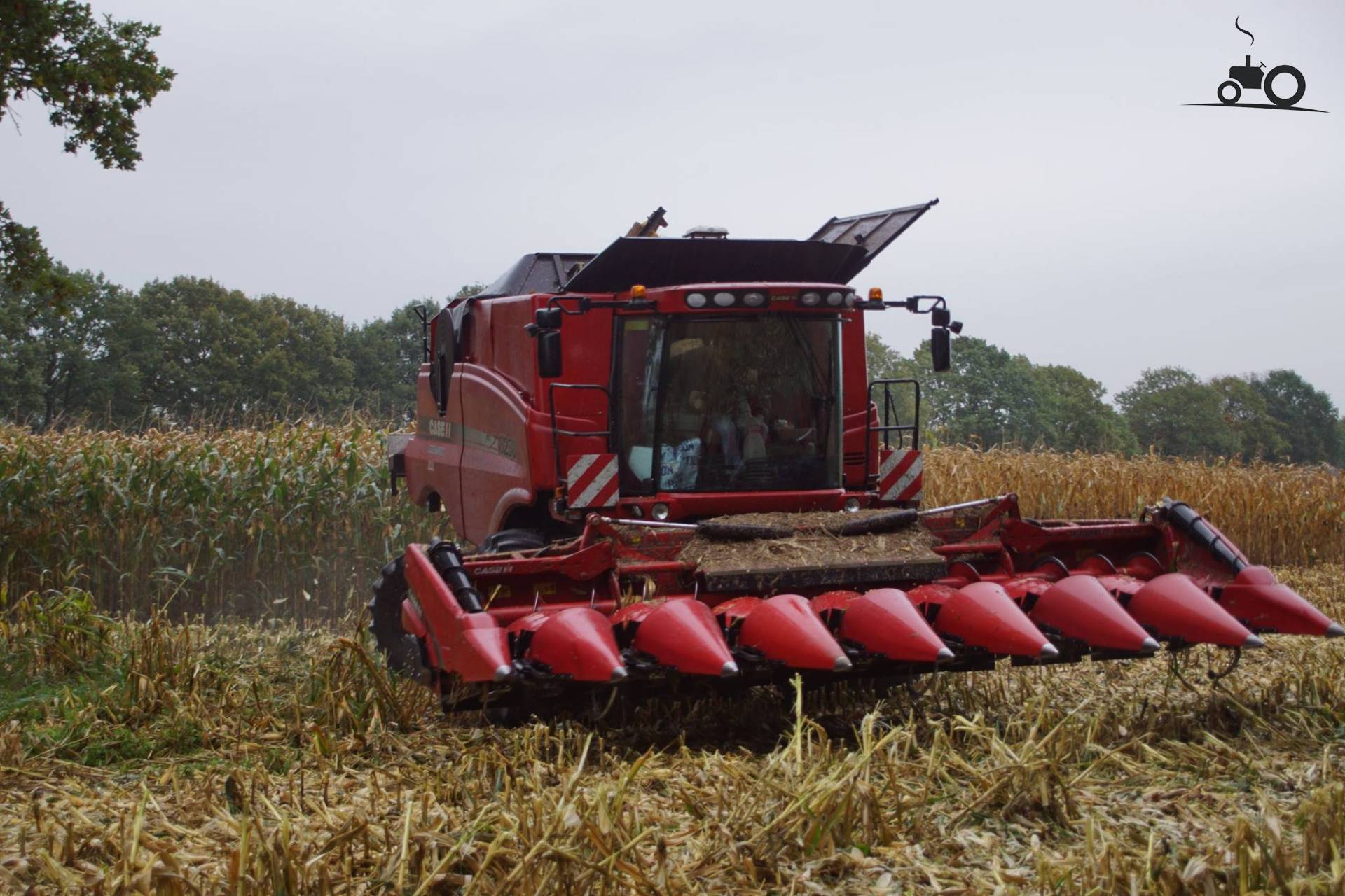 Foto Case IH Axial Flow 8230 (Combine) #1201386