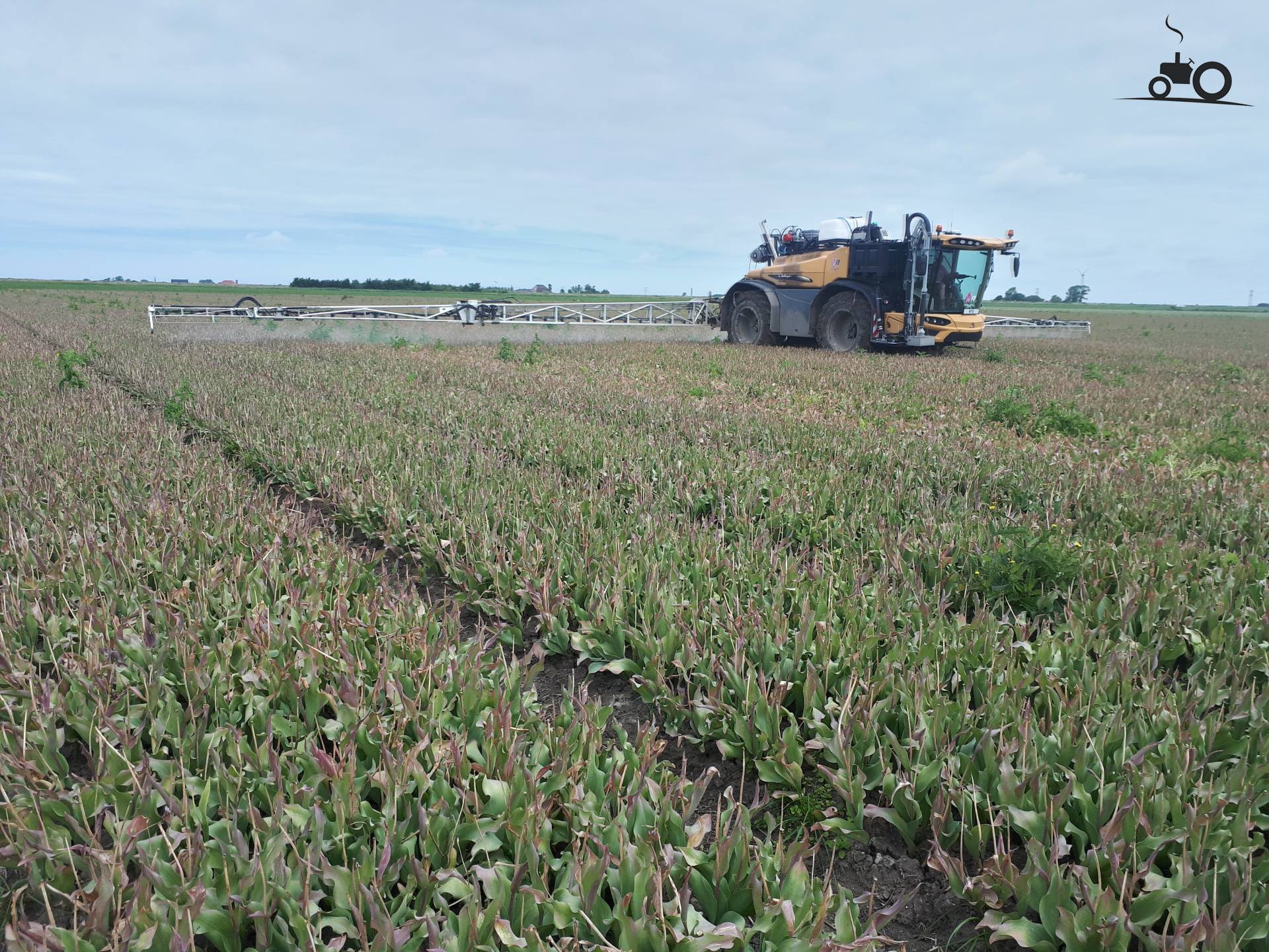 Challenger Rogator RG 655 (veldspuit)