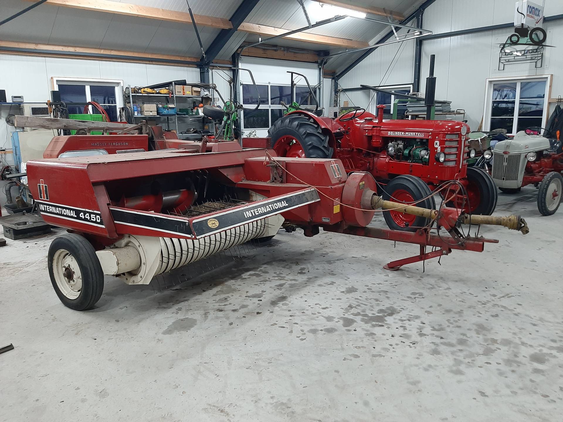 Foto International 445 (balenpers) #1462117