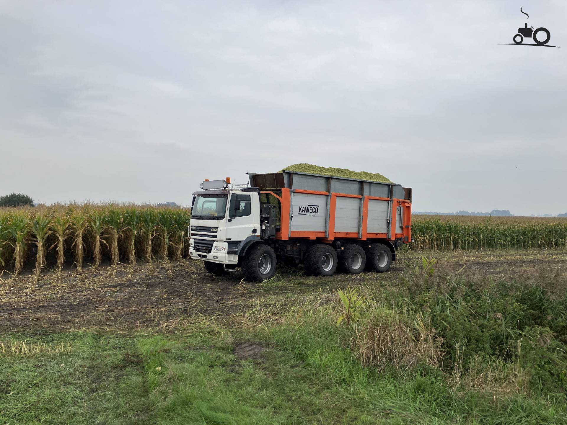 Foto GINAF X 4446 TS #1501433