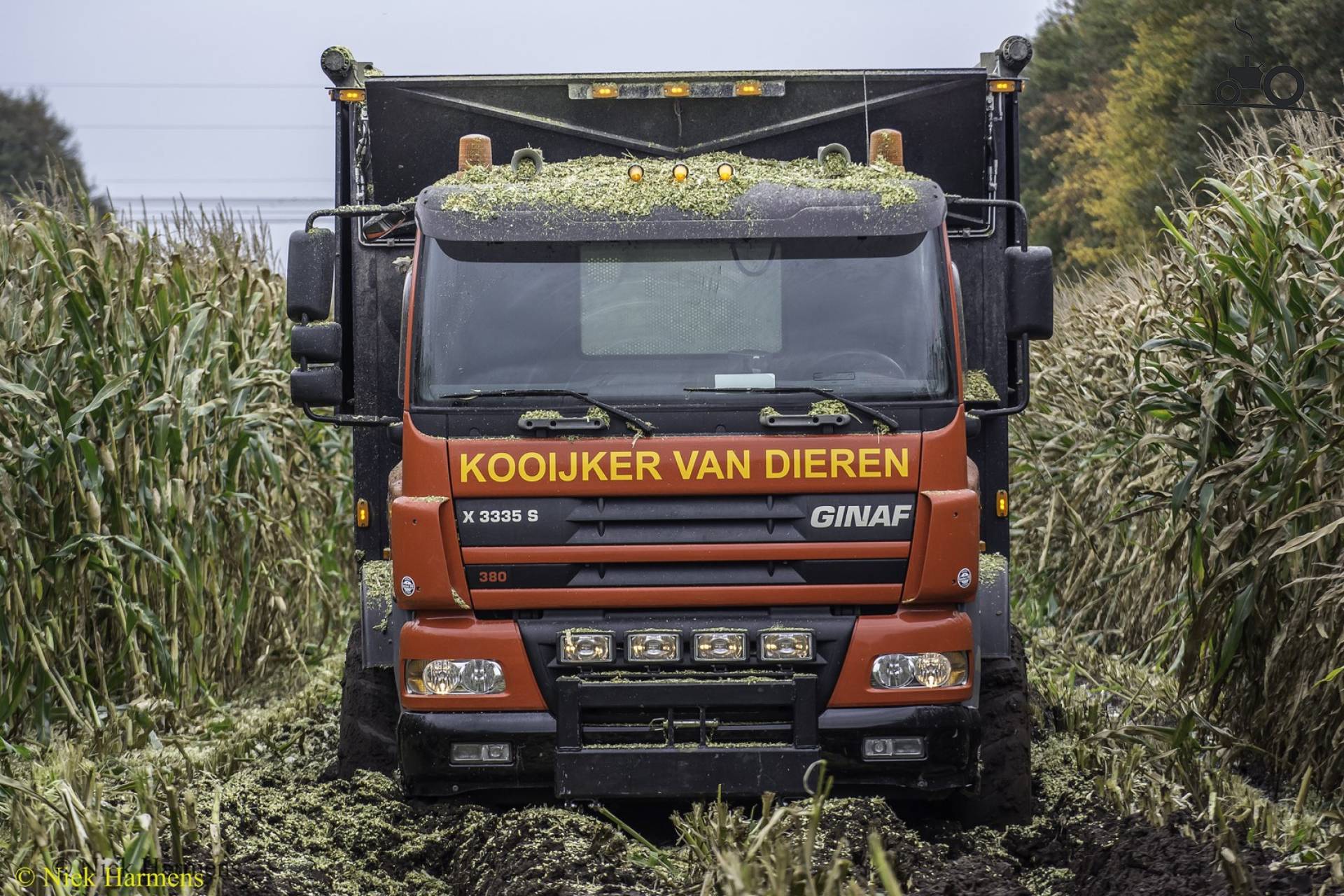 Foto GINAF Maistruck #803832