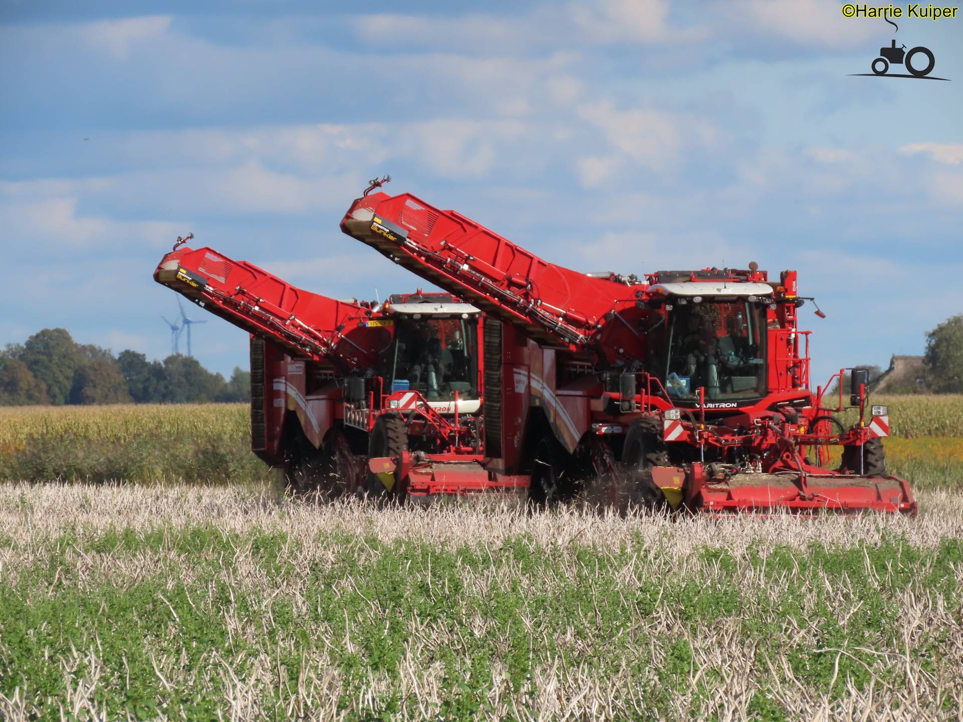 Foto Grimme Varitron 470 van Mencke Landbouw BV