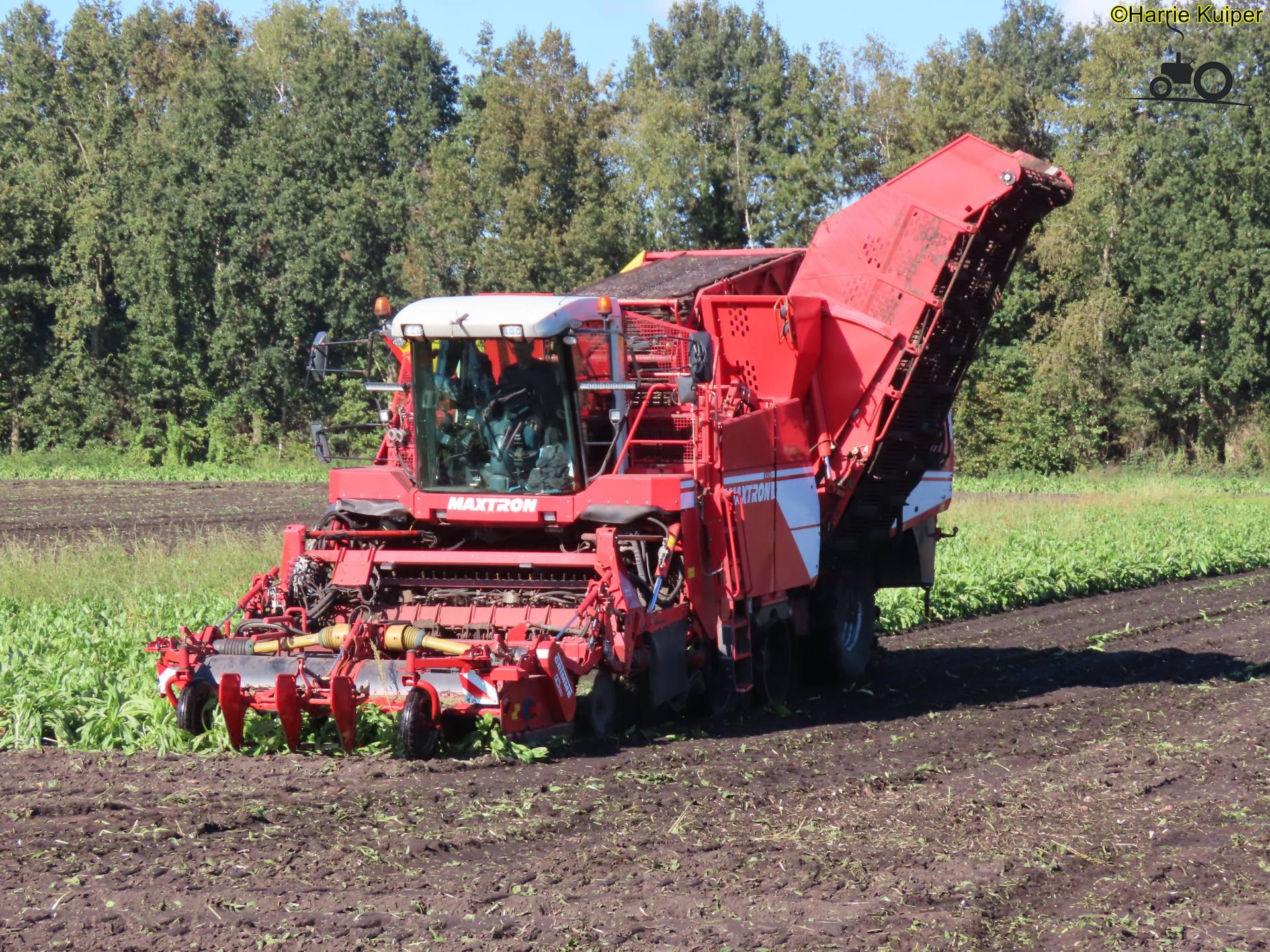Grimme Maxtron