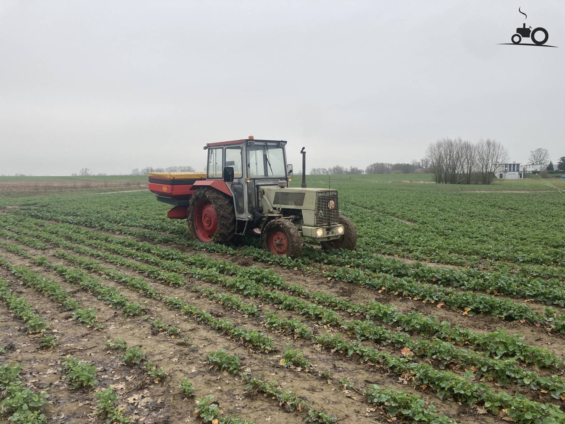 Kunstmest strooien met de Hanomag