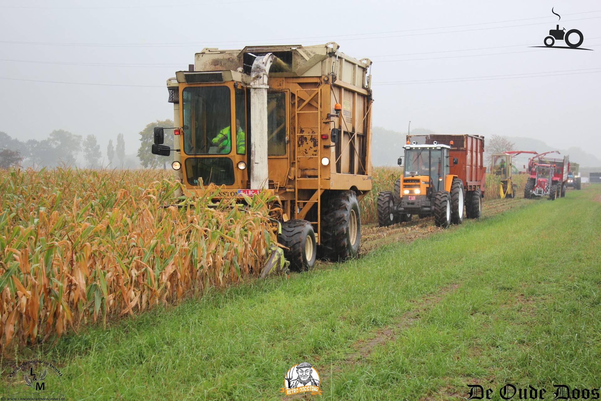 Hesston Field Queen 7655