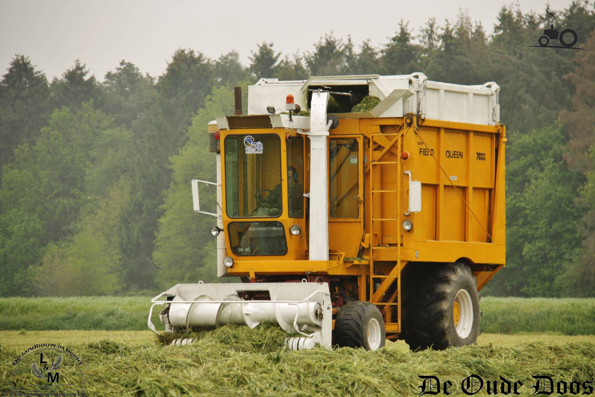 Foto Hesston Field Queen 7655 #1321758