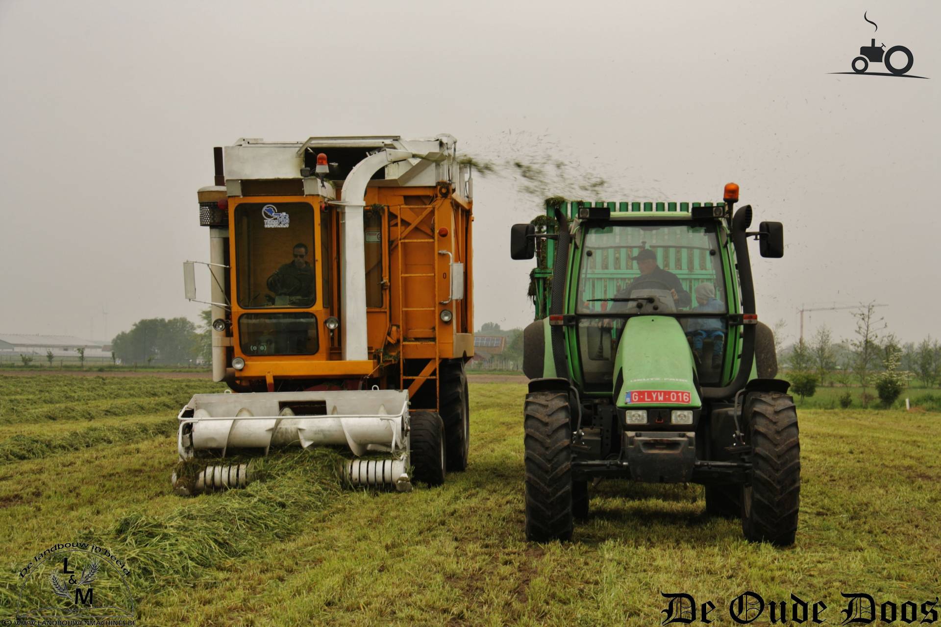 Foto Hesston Field Queen 7655 #1321759