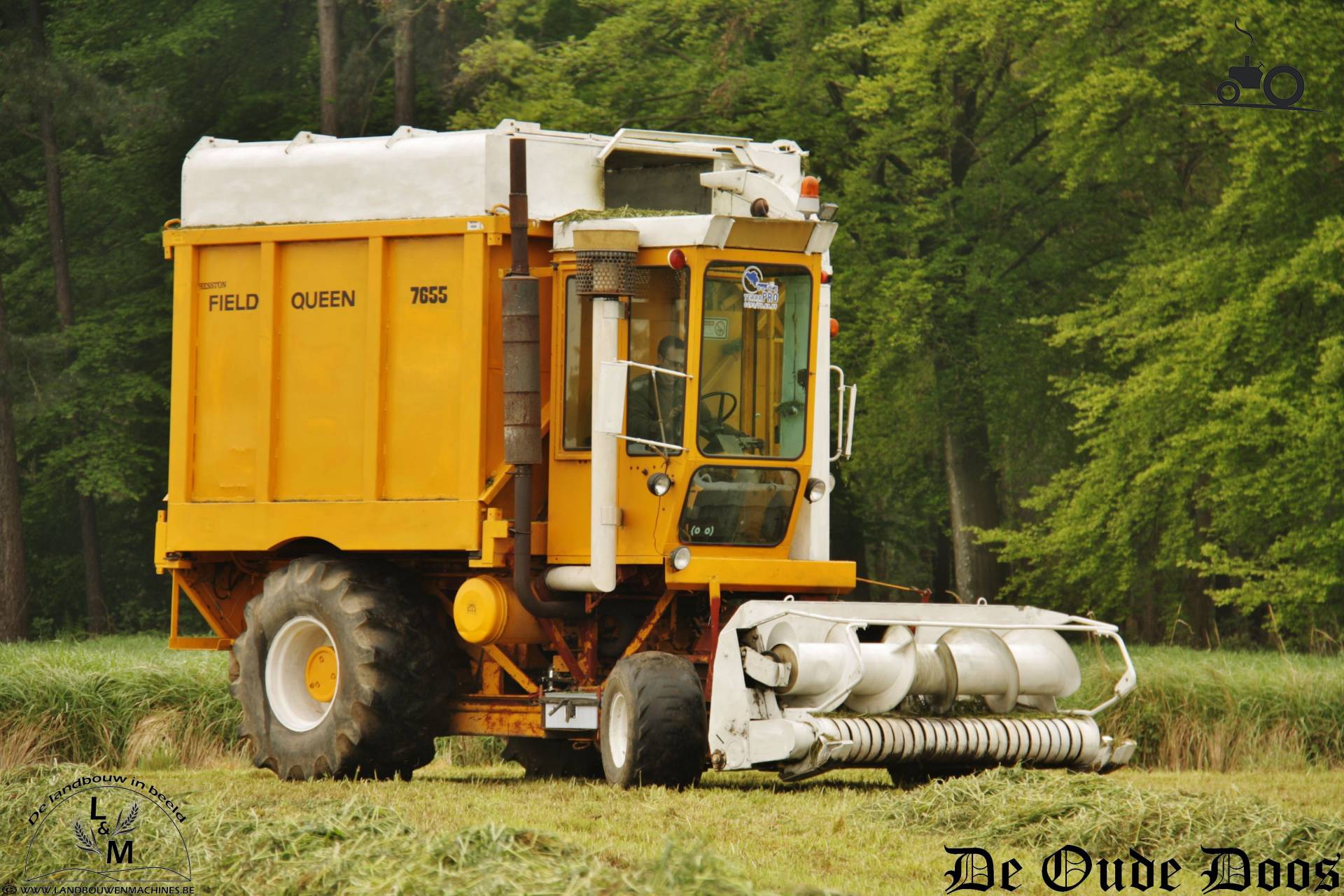 Foto Hesston Field Queen 7655 #1321761