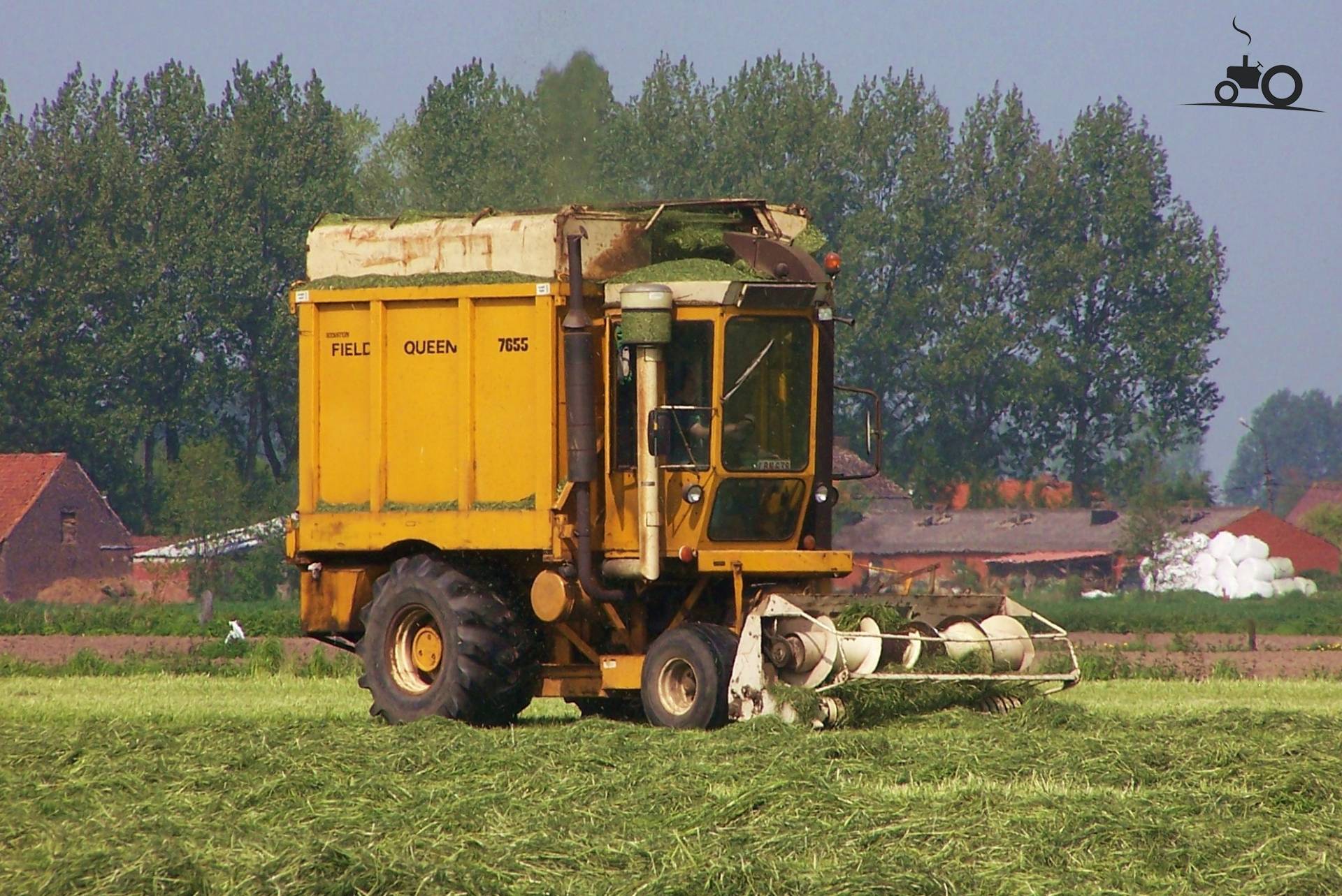 Foto Hesston Field Queen 7655 #721813