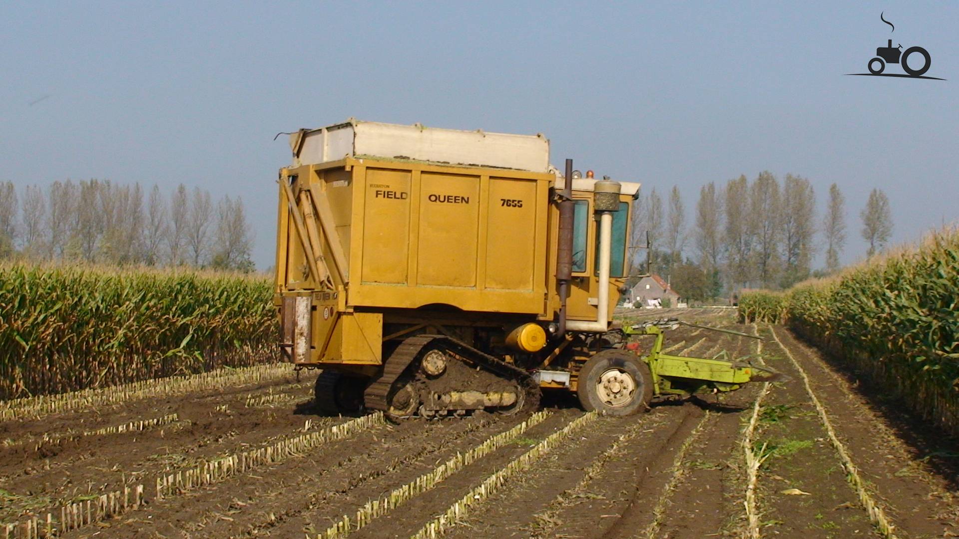 Foto Hesston Field Queen 7655 #886650