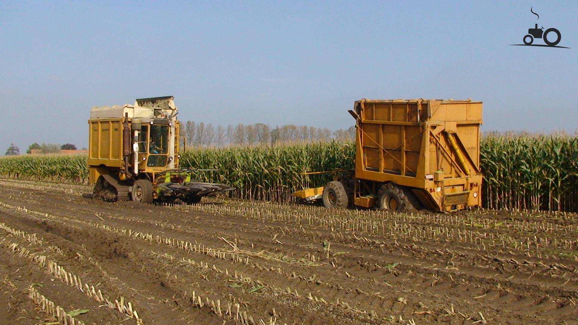 Foto Hesston Field Queen 7655 #886655