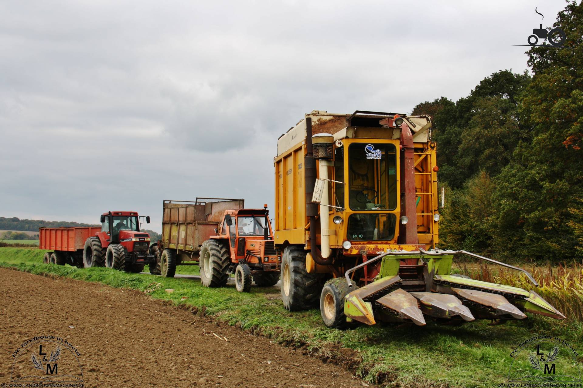 Hesston Field Queen 7655