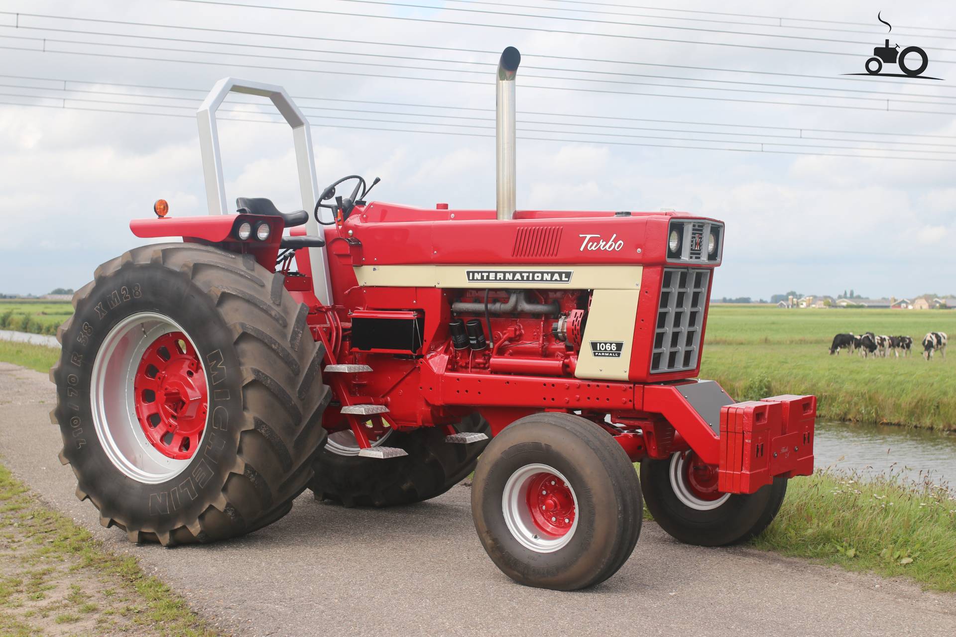 Trekkers kieken - Week 37