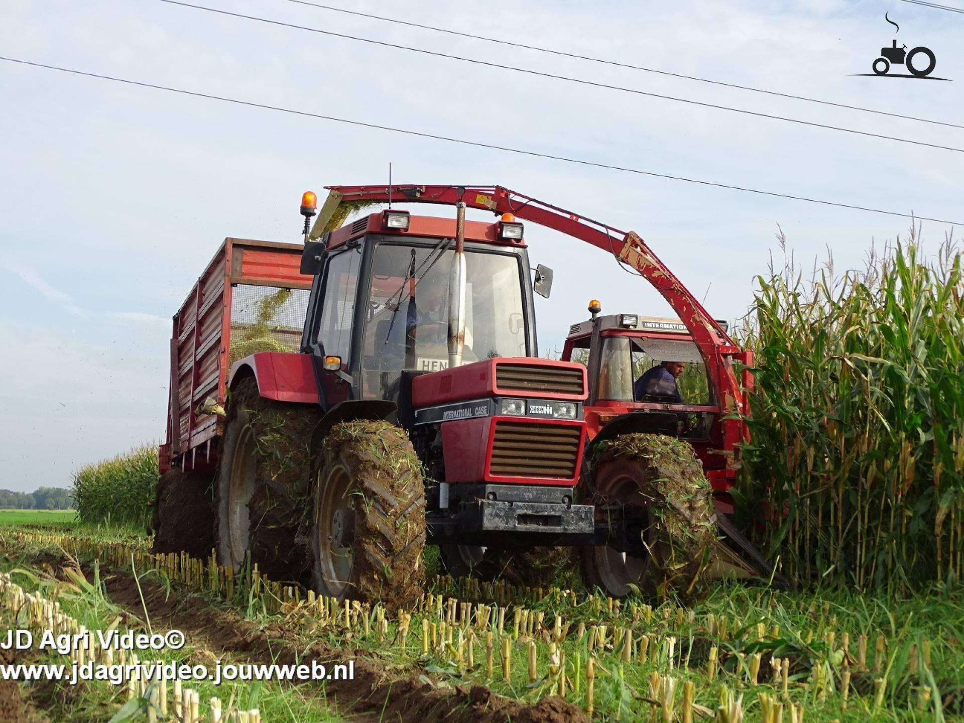 International 956 XL