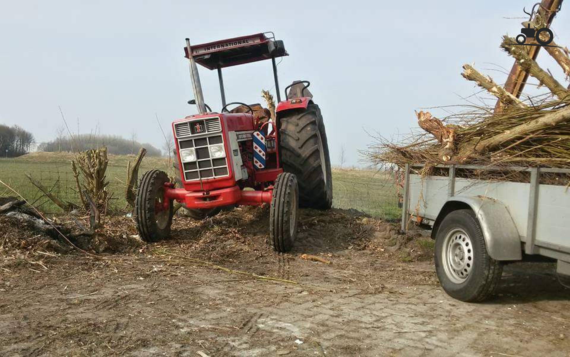 Foto International 553 #1207377