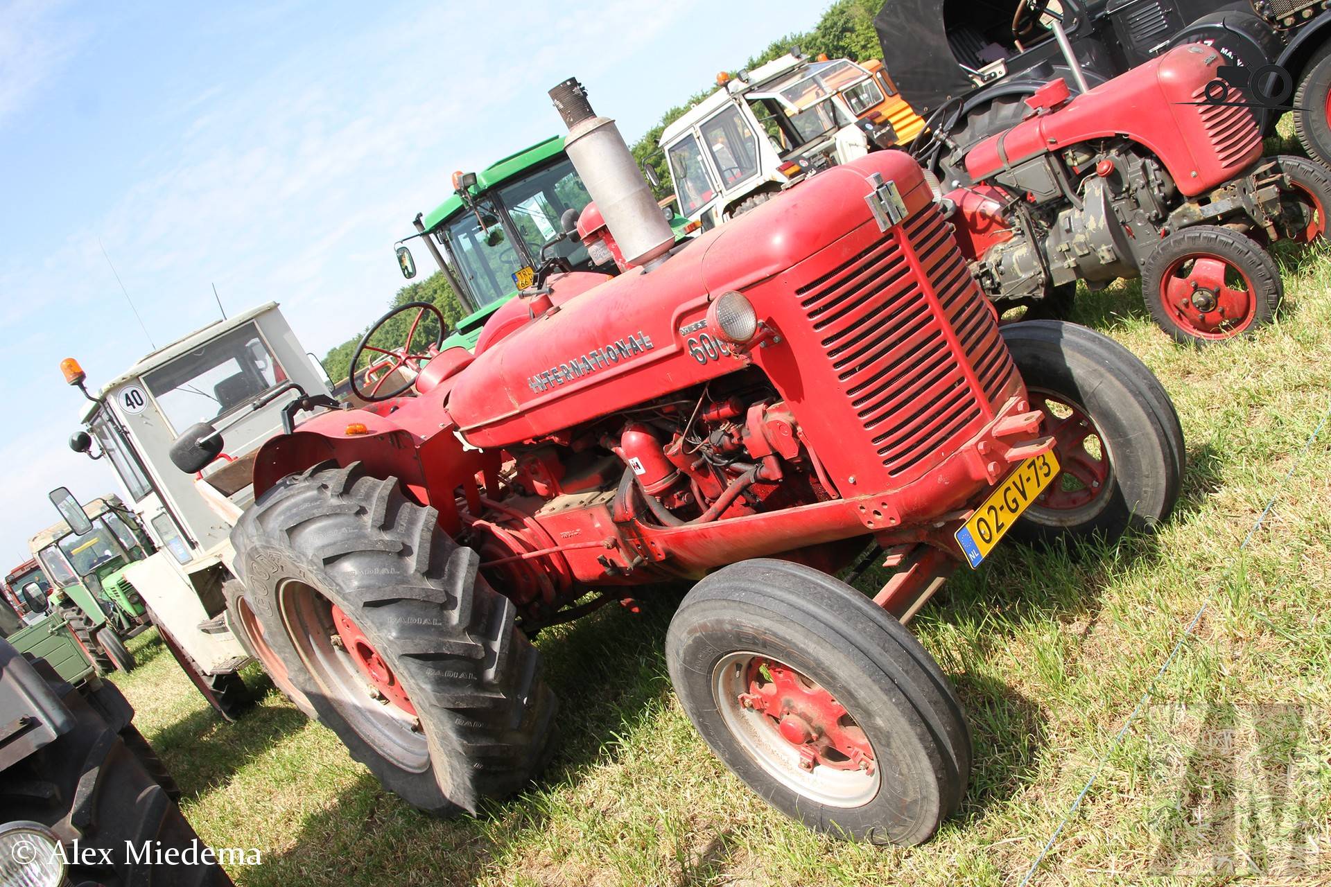 Foto International 600 #1471382