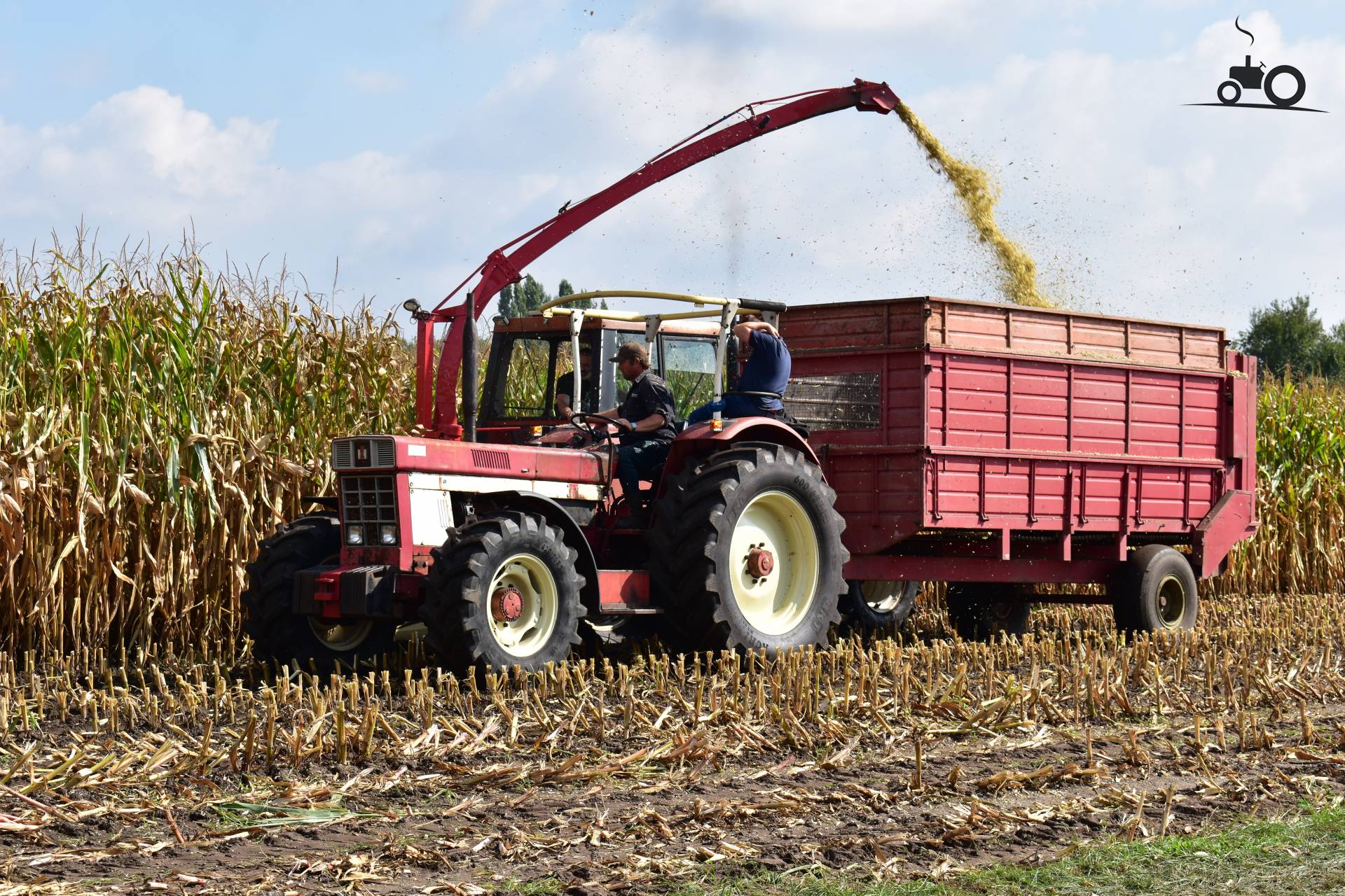 Foto International 1246 #1491887