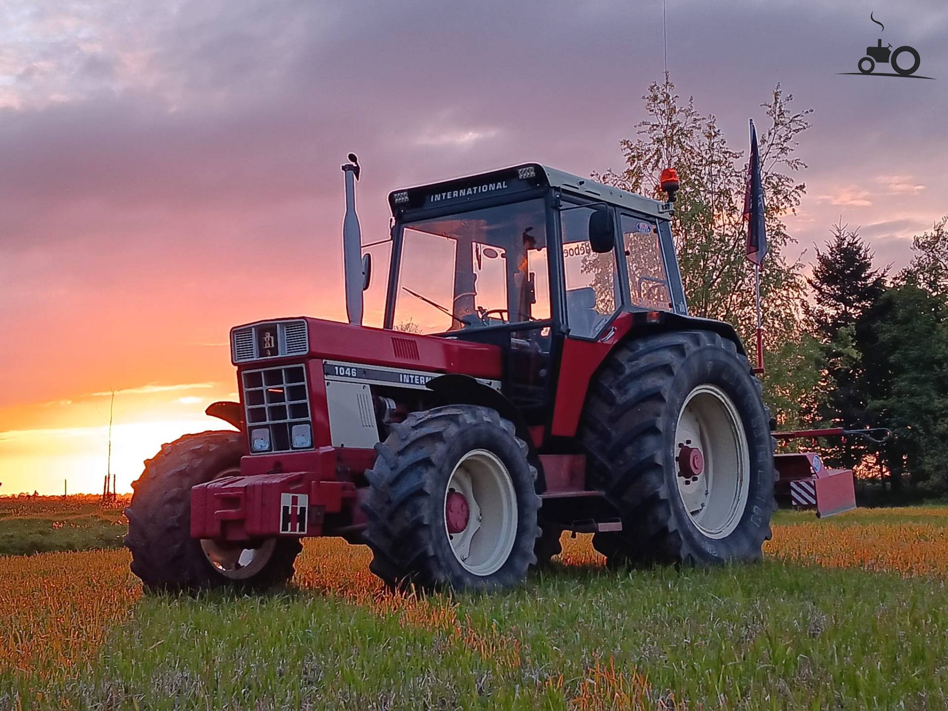 Trekkers kieken - Week 20