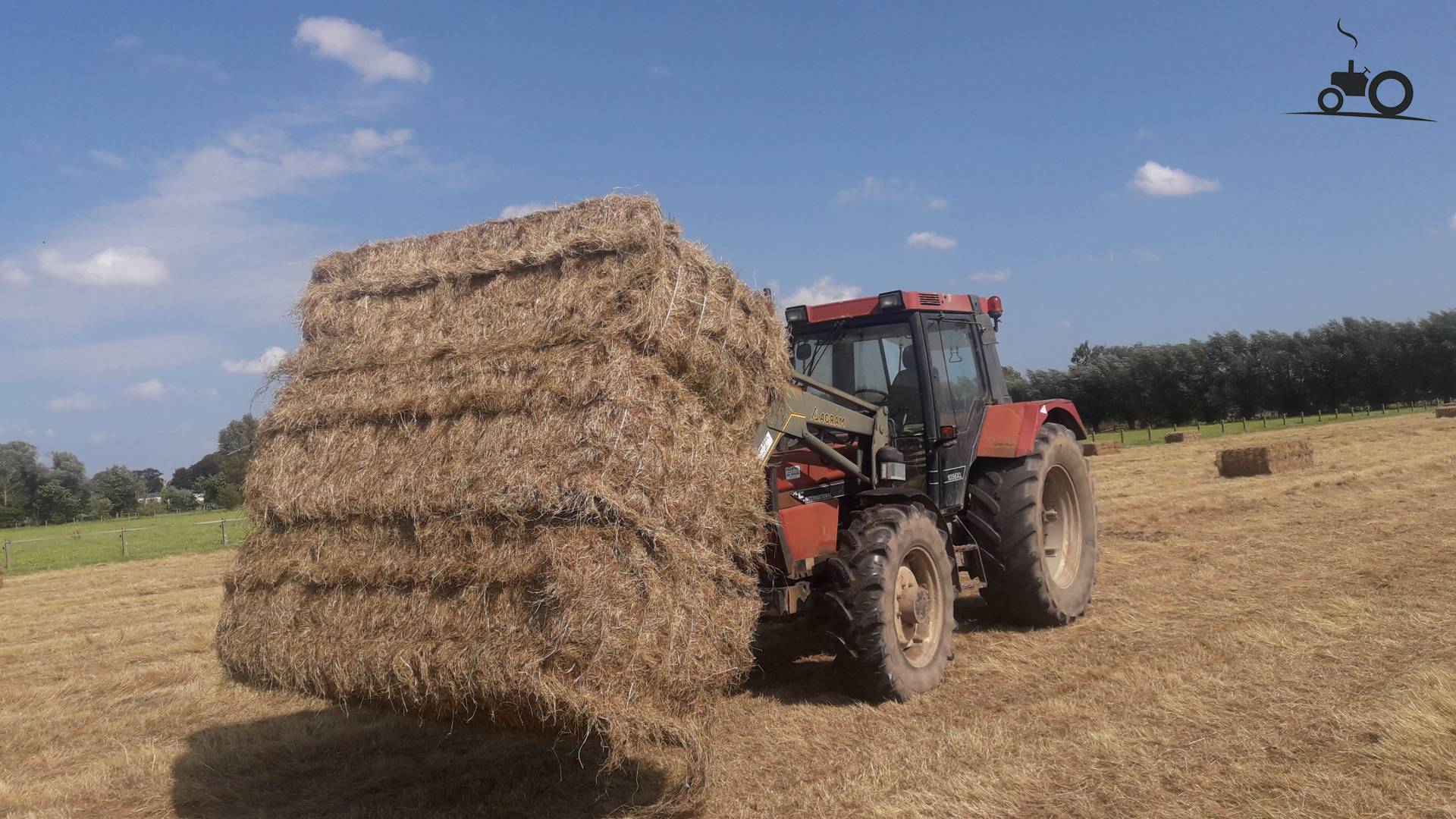 International 1056 XL