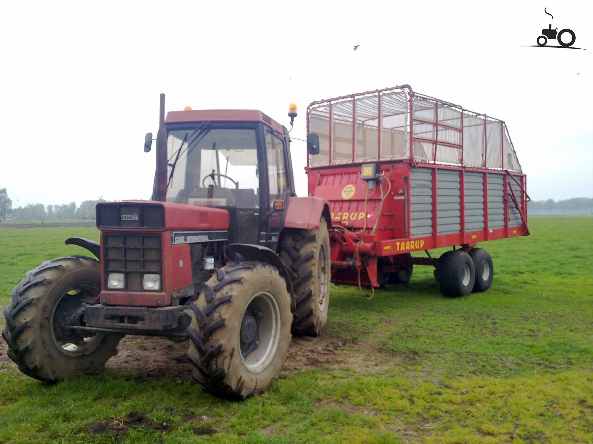 International 956 XL