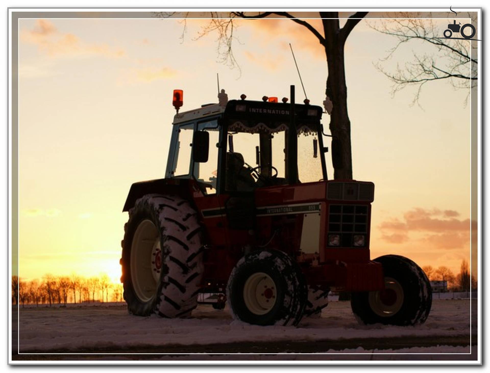 Foto International 955 van P.l Van Peenen, Grondverzetmachines.