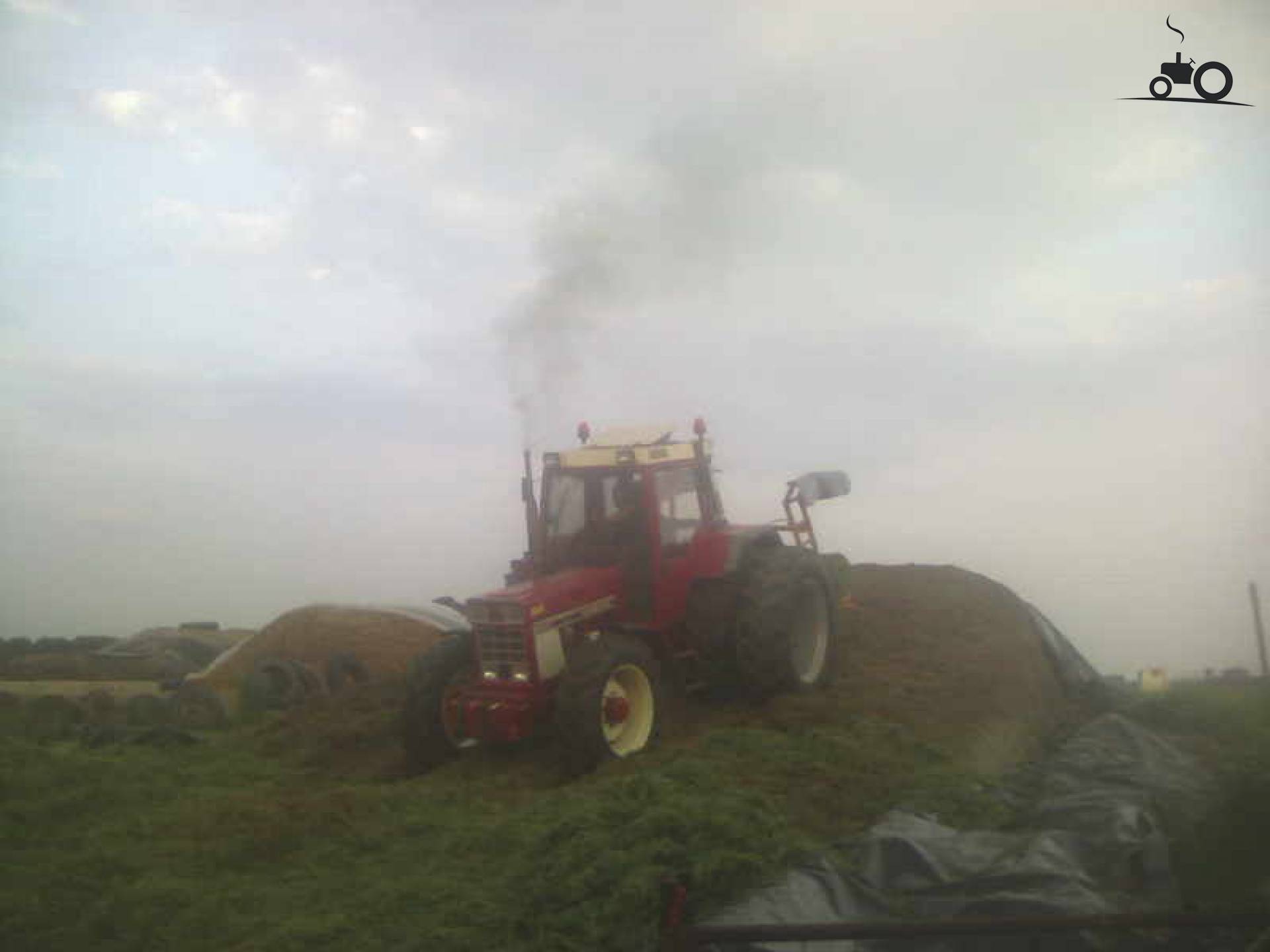 Foto International 956 #55599