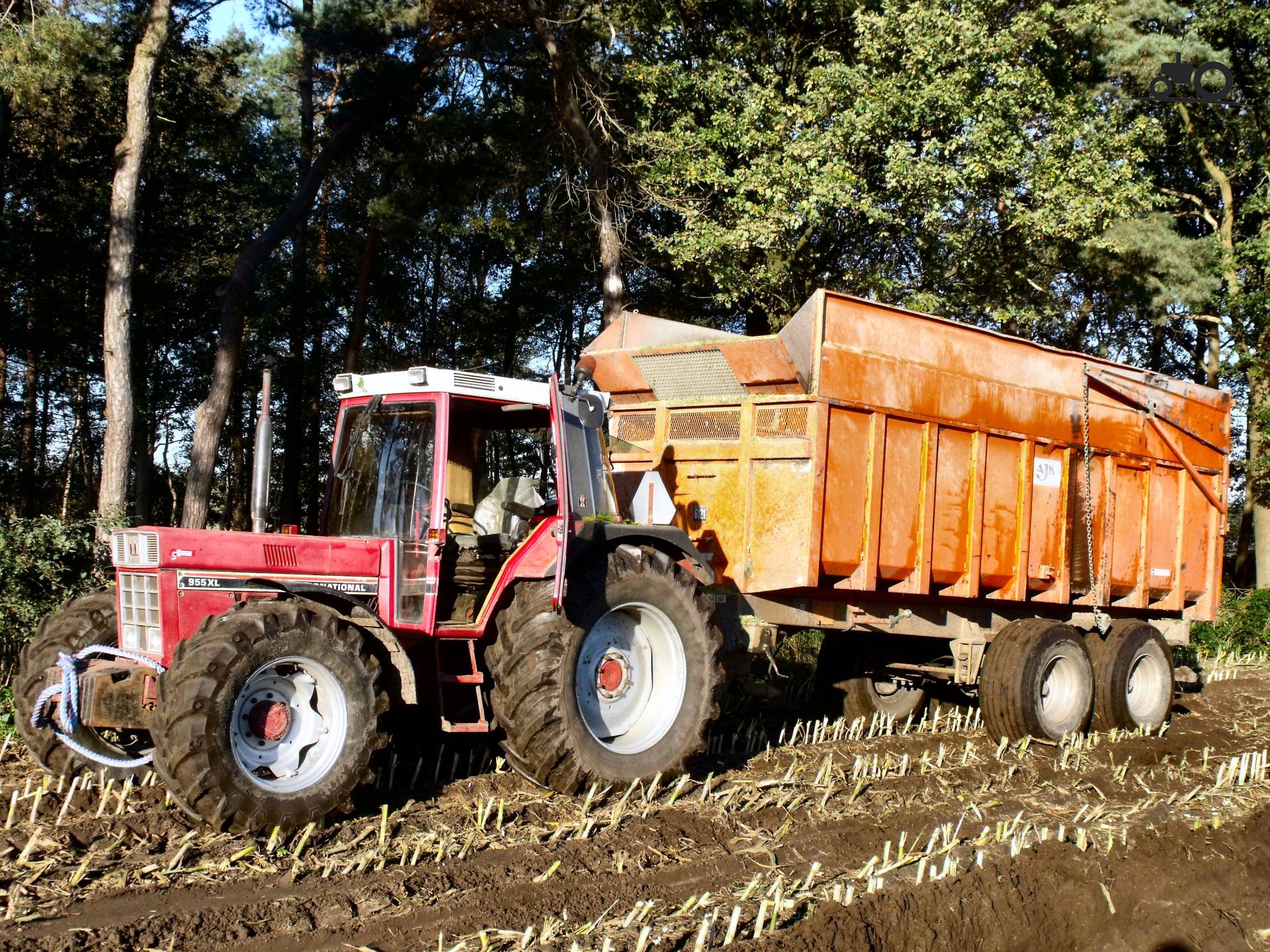 Foto International 955 XL #560421