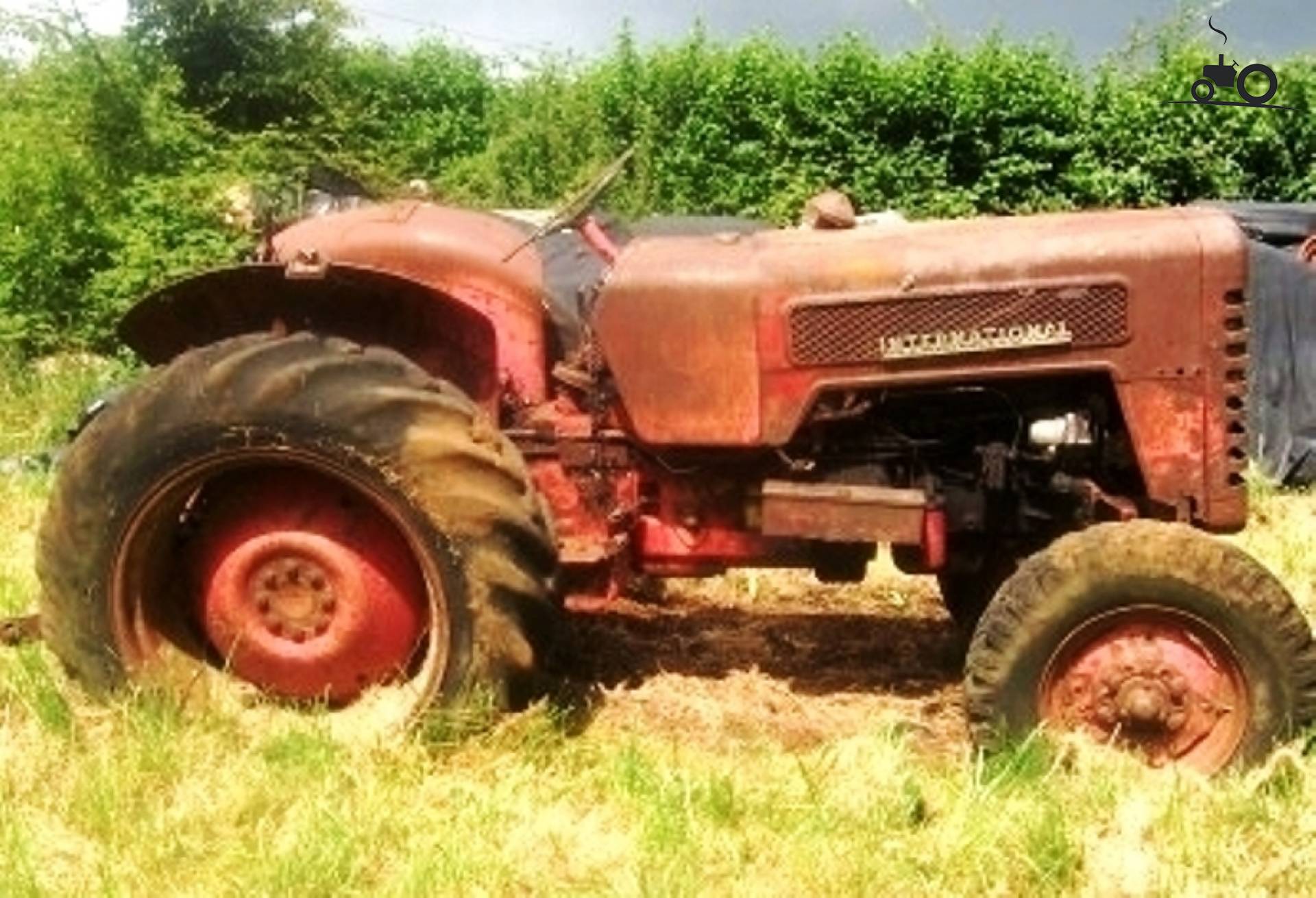 International B 250 - United Kingdom - Tractor picture #647568