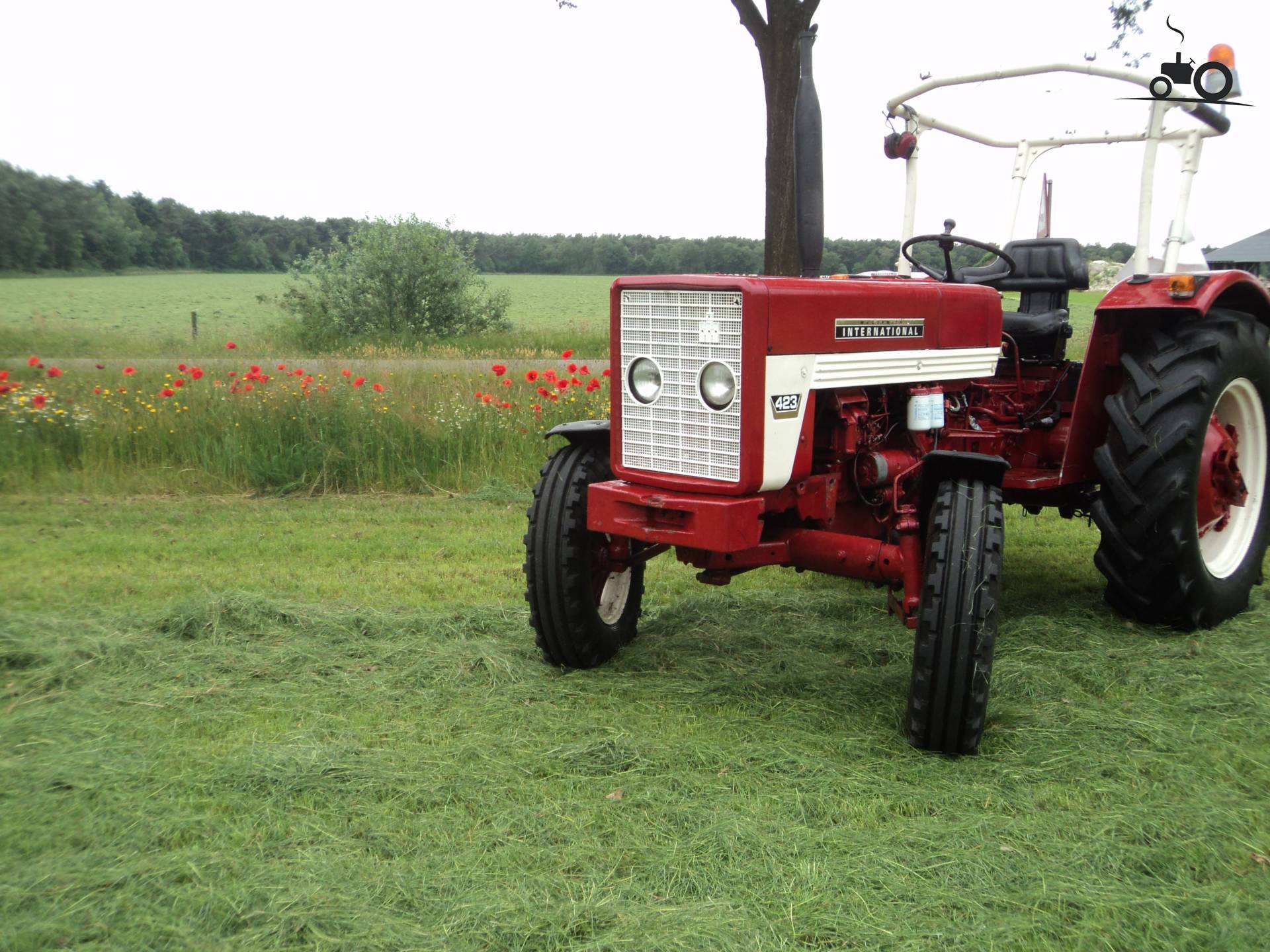 Foto International 423 #650300