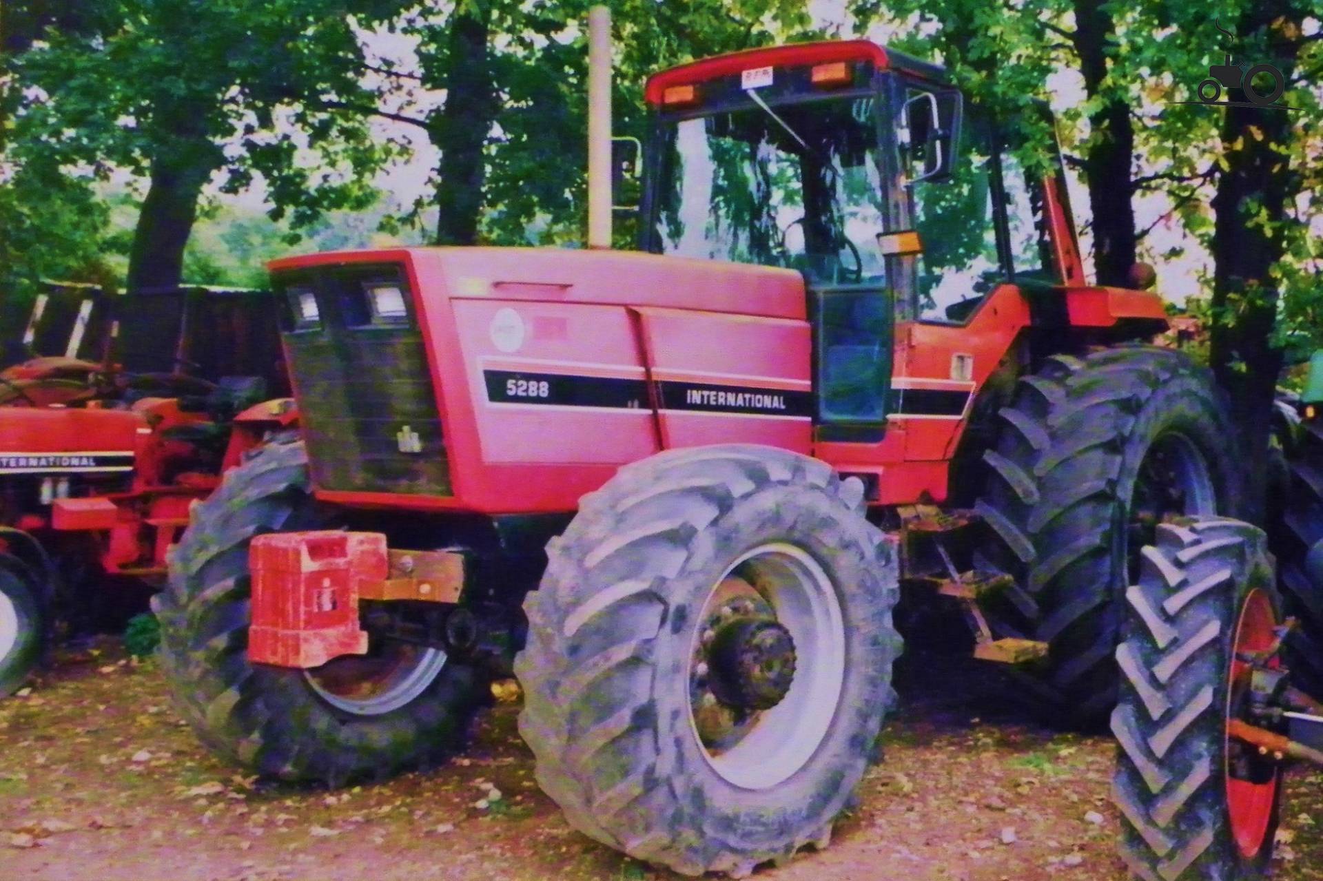 Foto International 5288 #718357