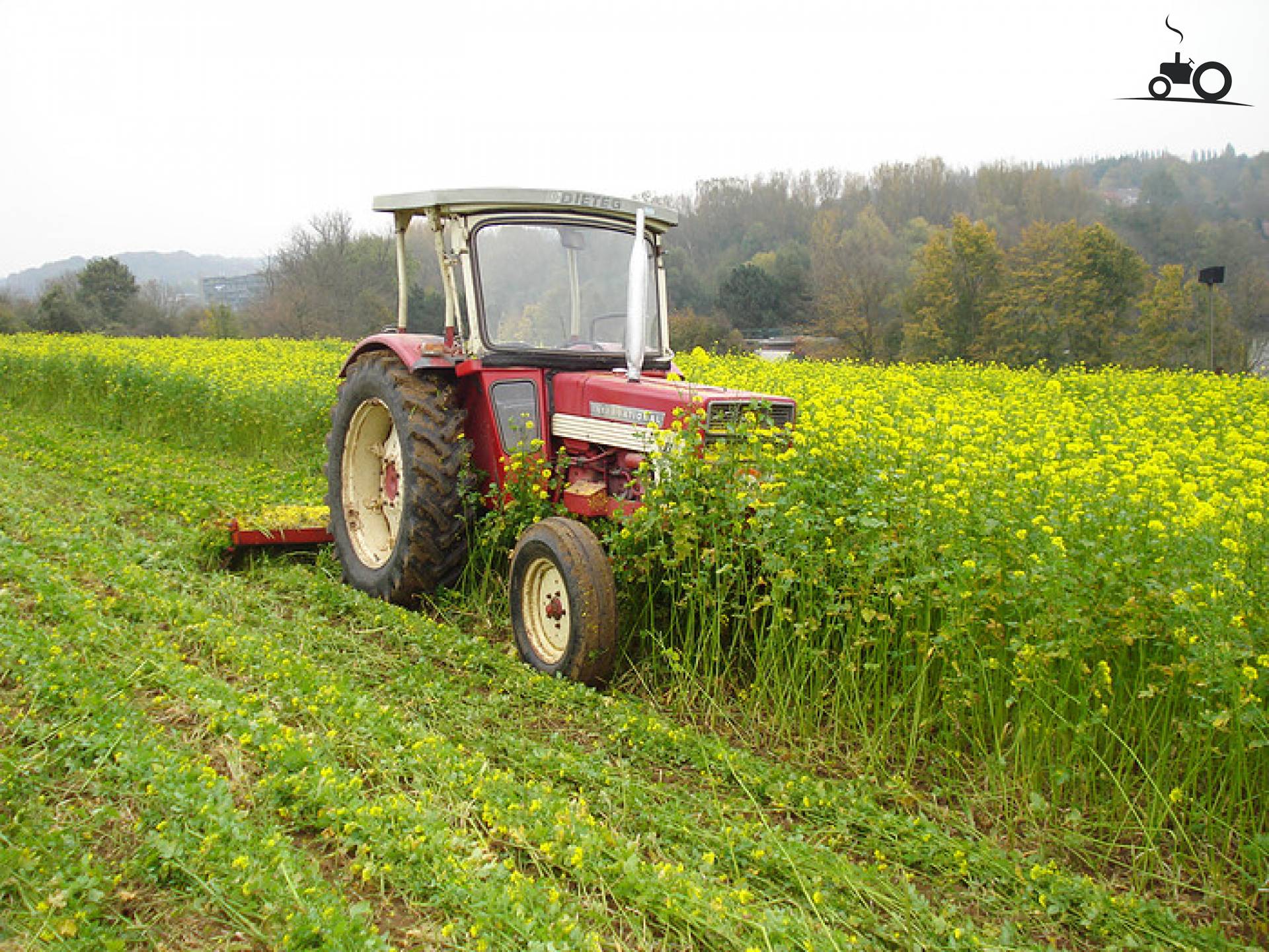 Foto International 724 #719854