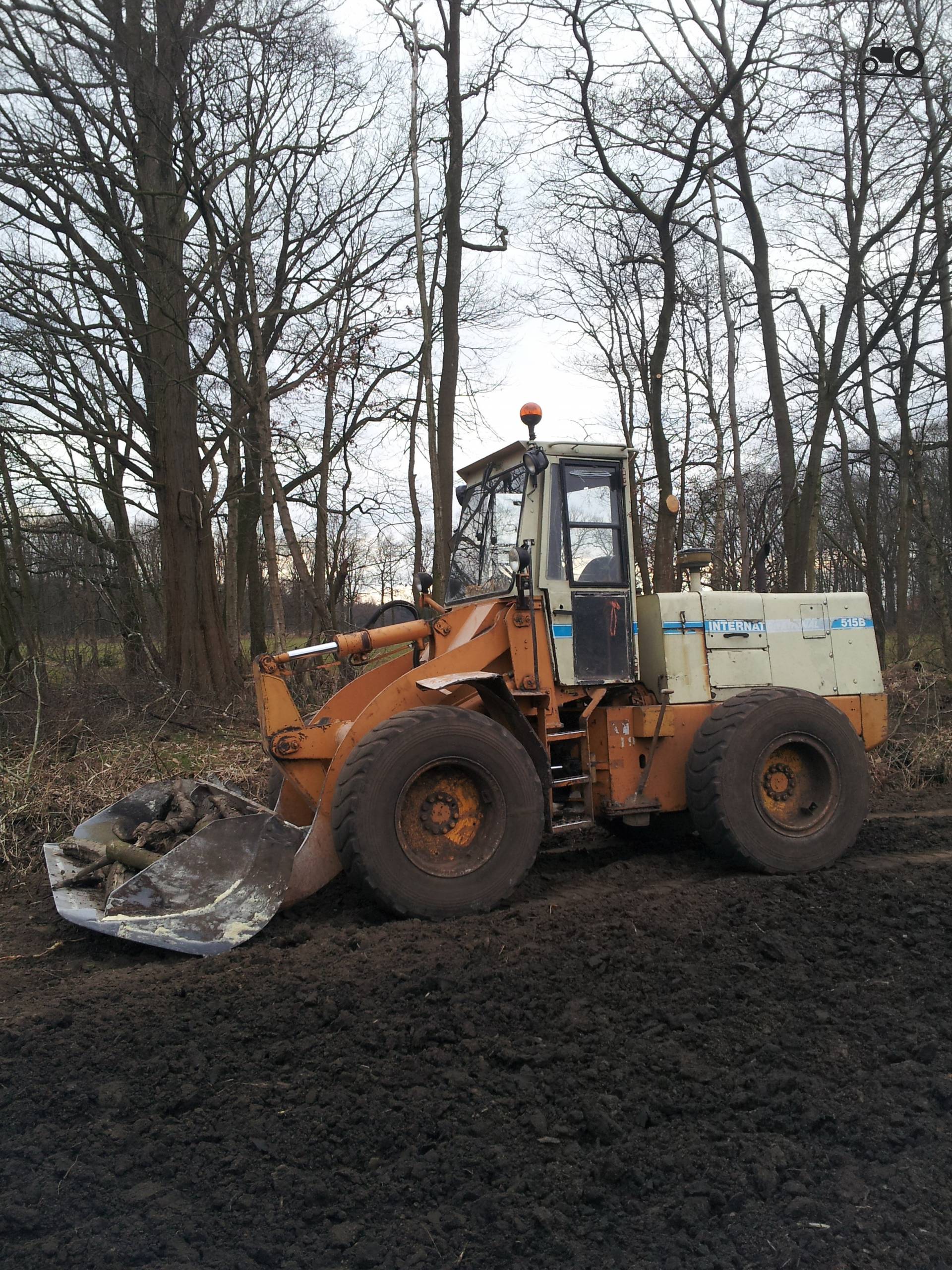International Payloader 515B - United Kingdom - Tractor picture #748625